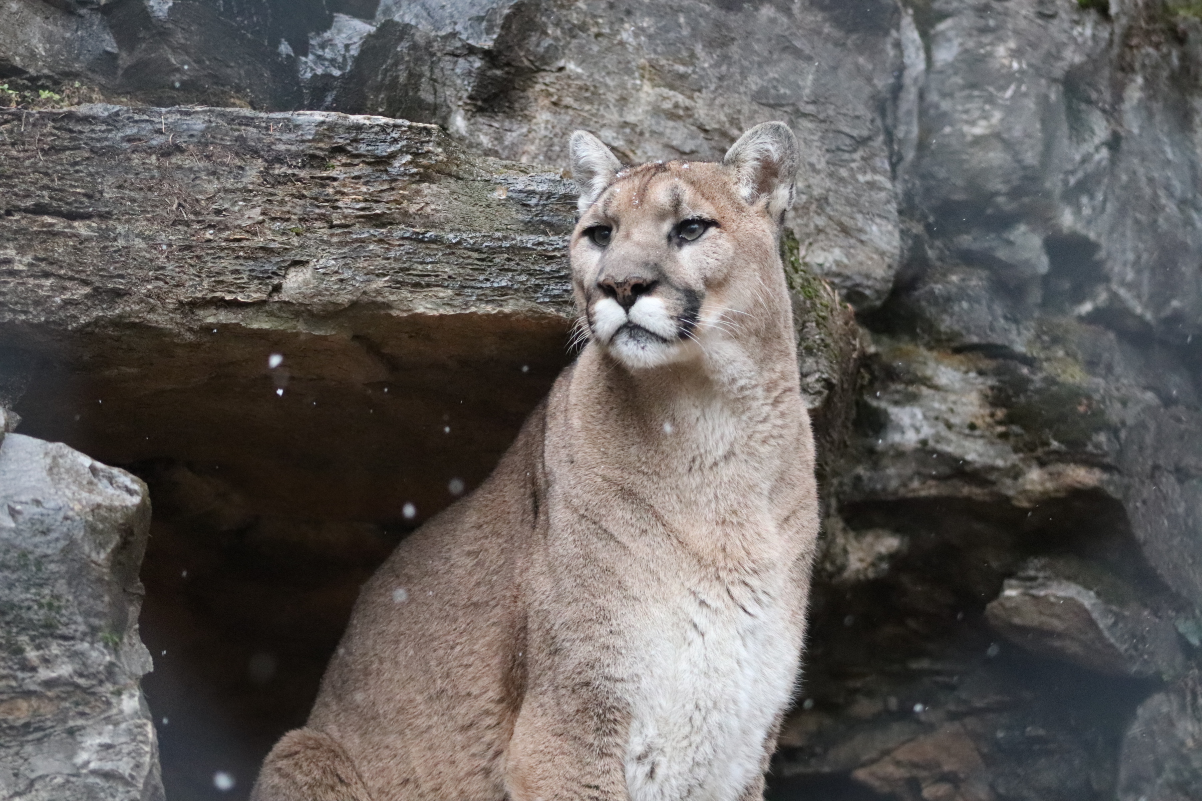 Discovery Weekends at ZooAmerica in January 2026