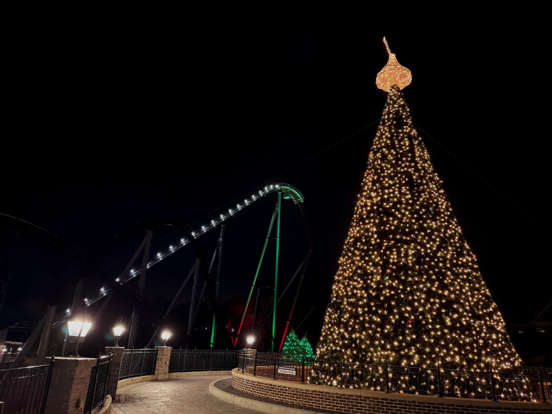 Guide to National Christmas Tree Day 2025 in Hershey