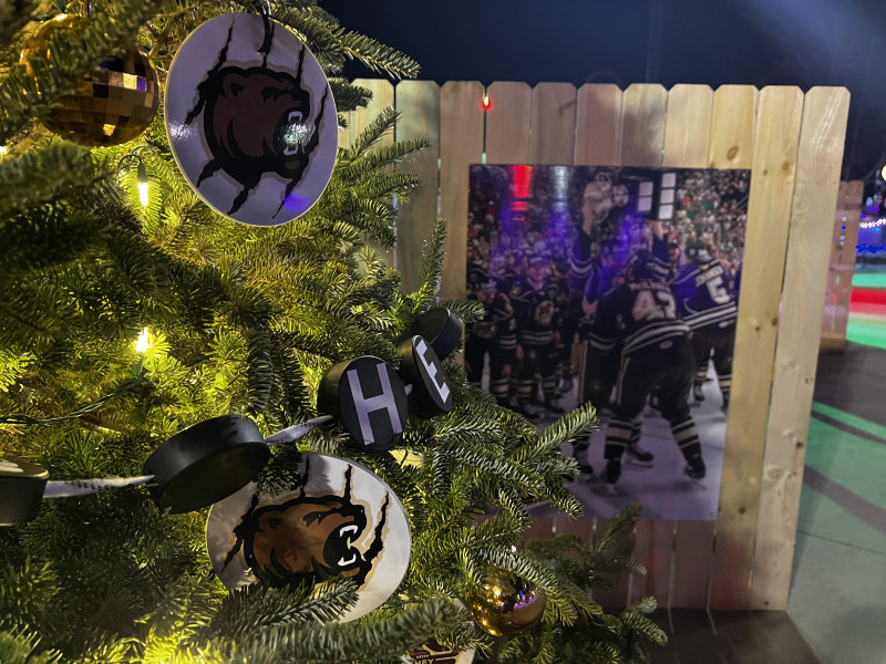 Celebrate National Christmas Tree Day 2024 in Hershey, PA