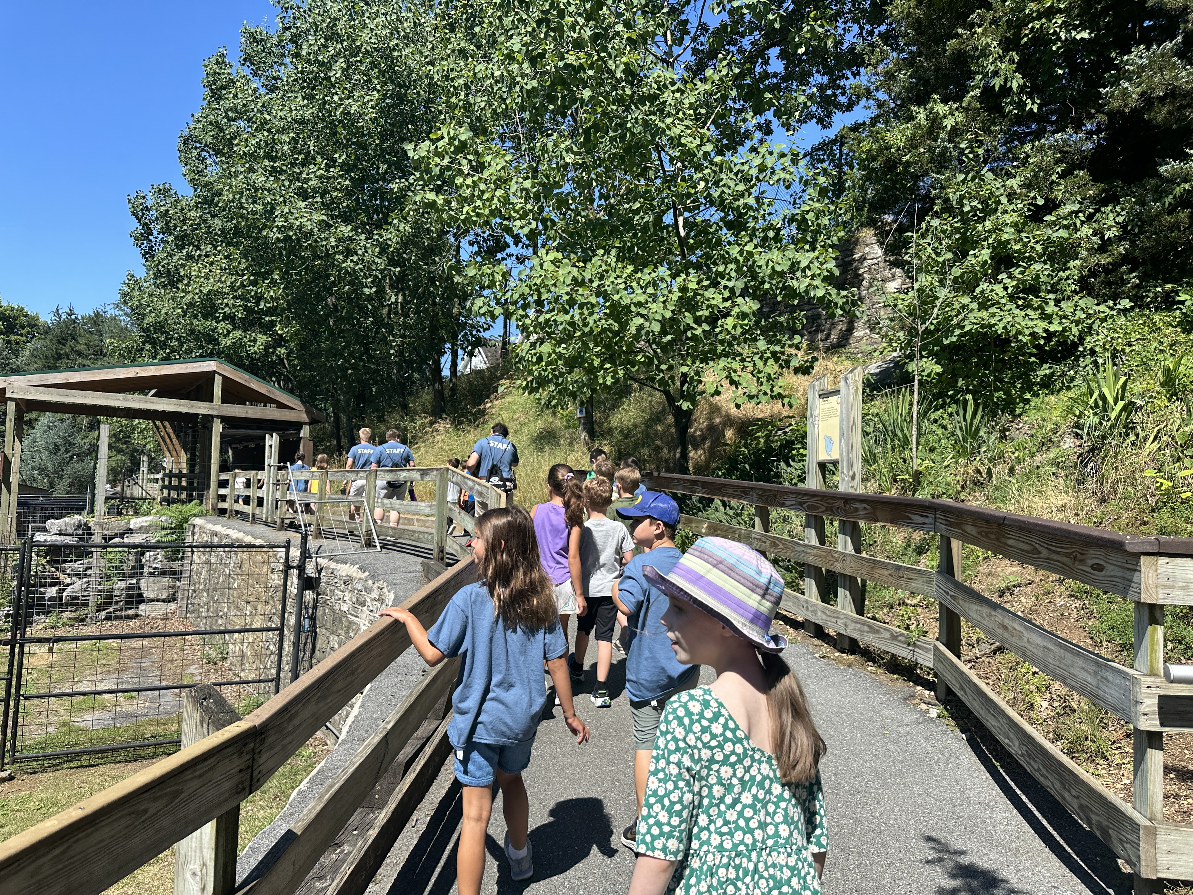 ZooAmerica Summer 2025 ZooCamp Registration Now Open