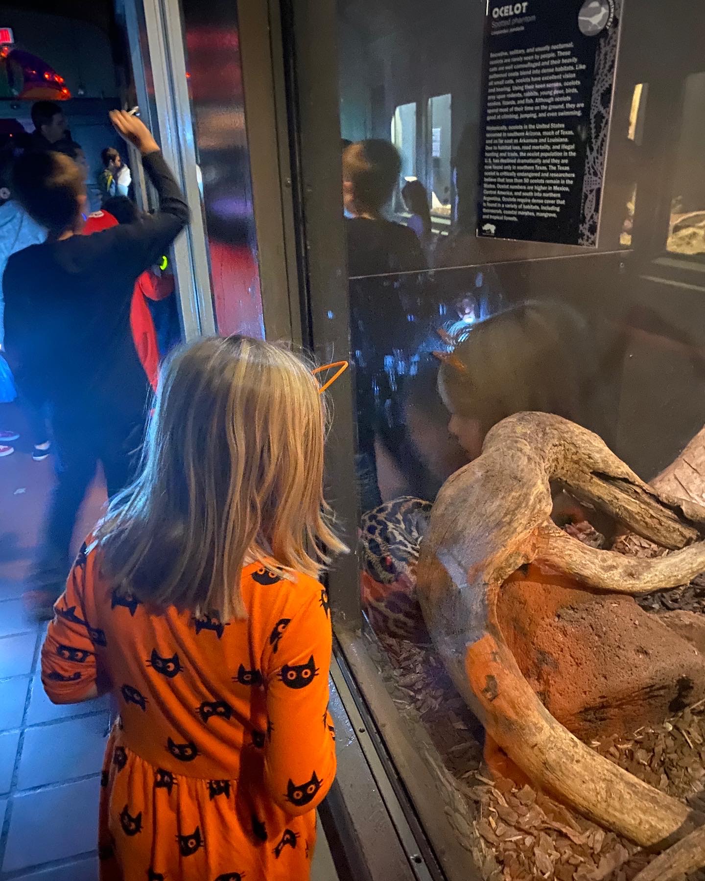 ZooAmerica Open After Dark for Creatures Of The Night 2025