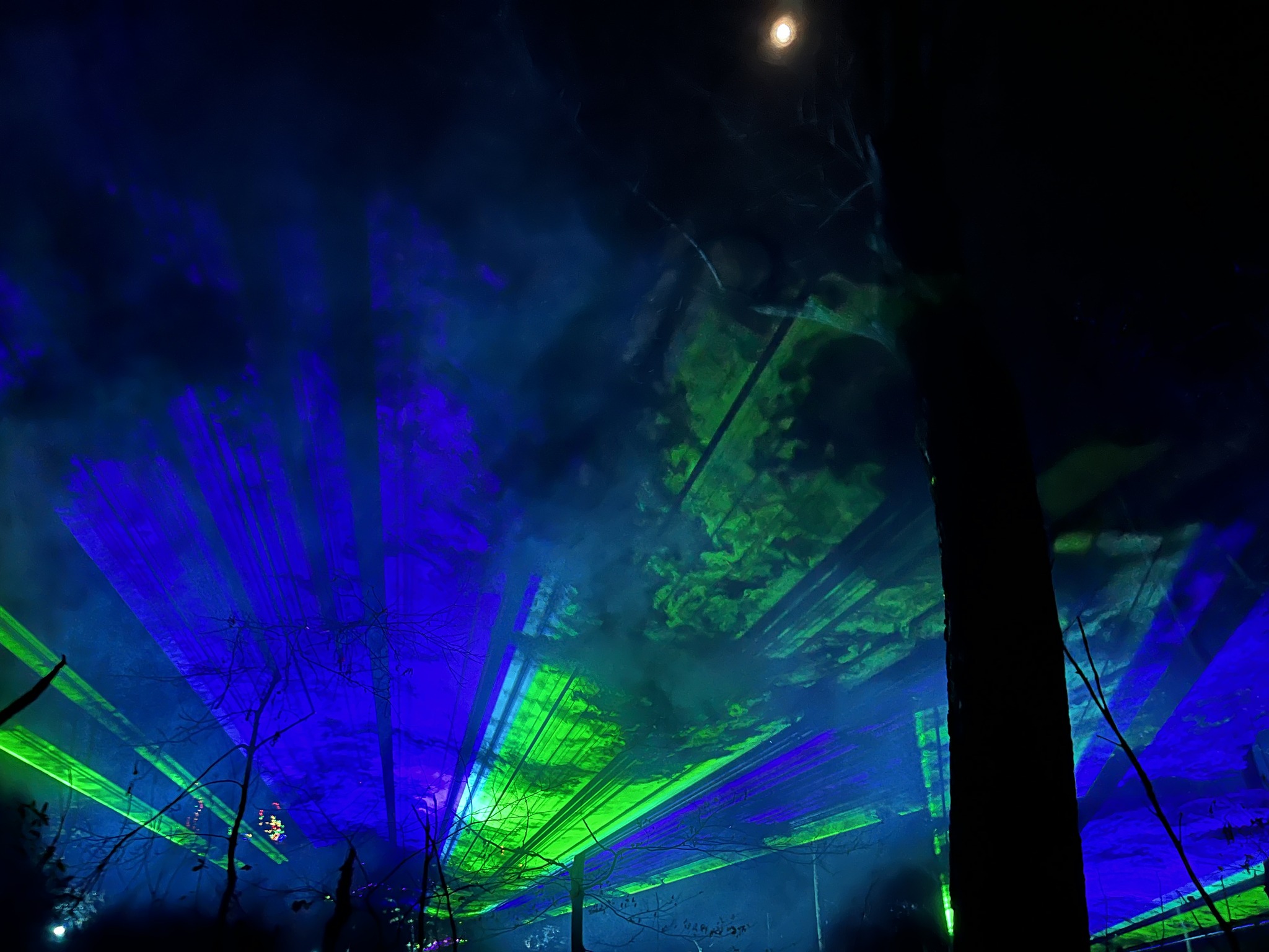 Hershey Sweet Lights Drive-Through Holiday Attraction Guide