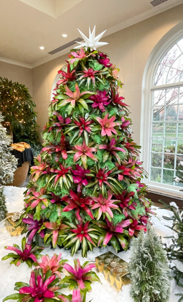 Celebrate National Christmas Tree Day 2024 in Hershey, PA