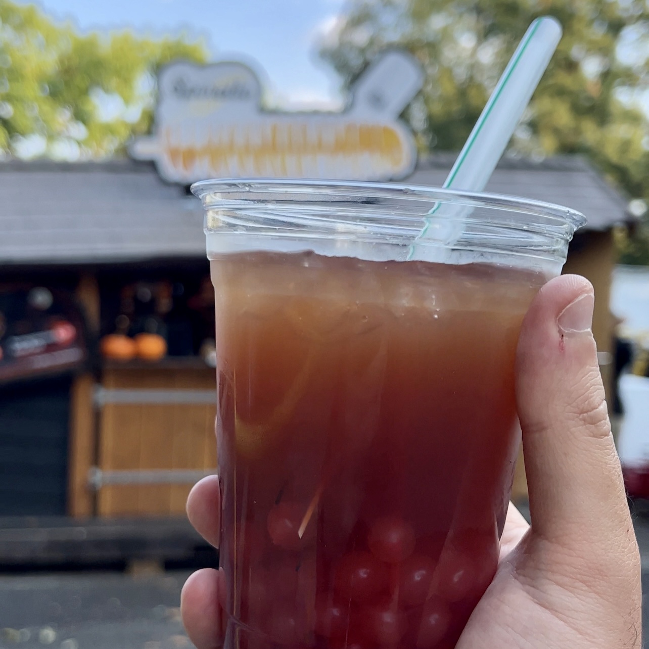 Guide to 2024 Hersheypark Halloween Tasting Pass