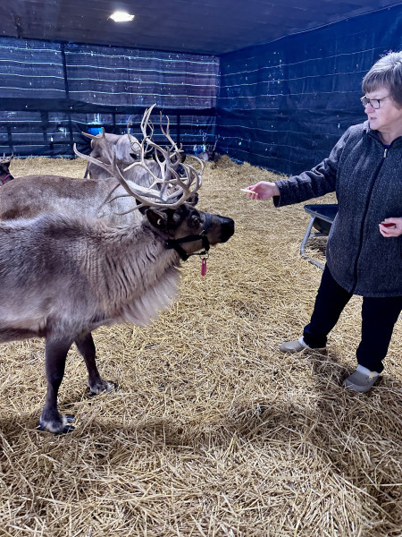 Hersheypark Reindeer Caretaker Retires After 26 Years