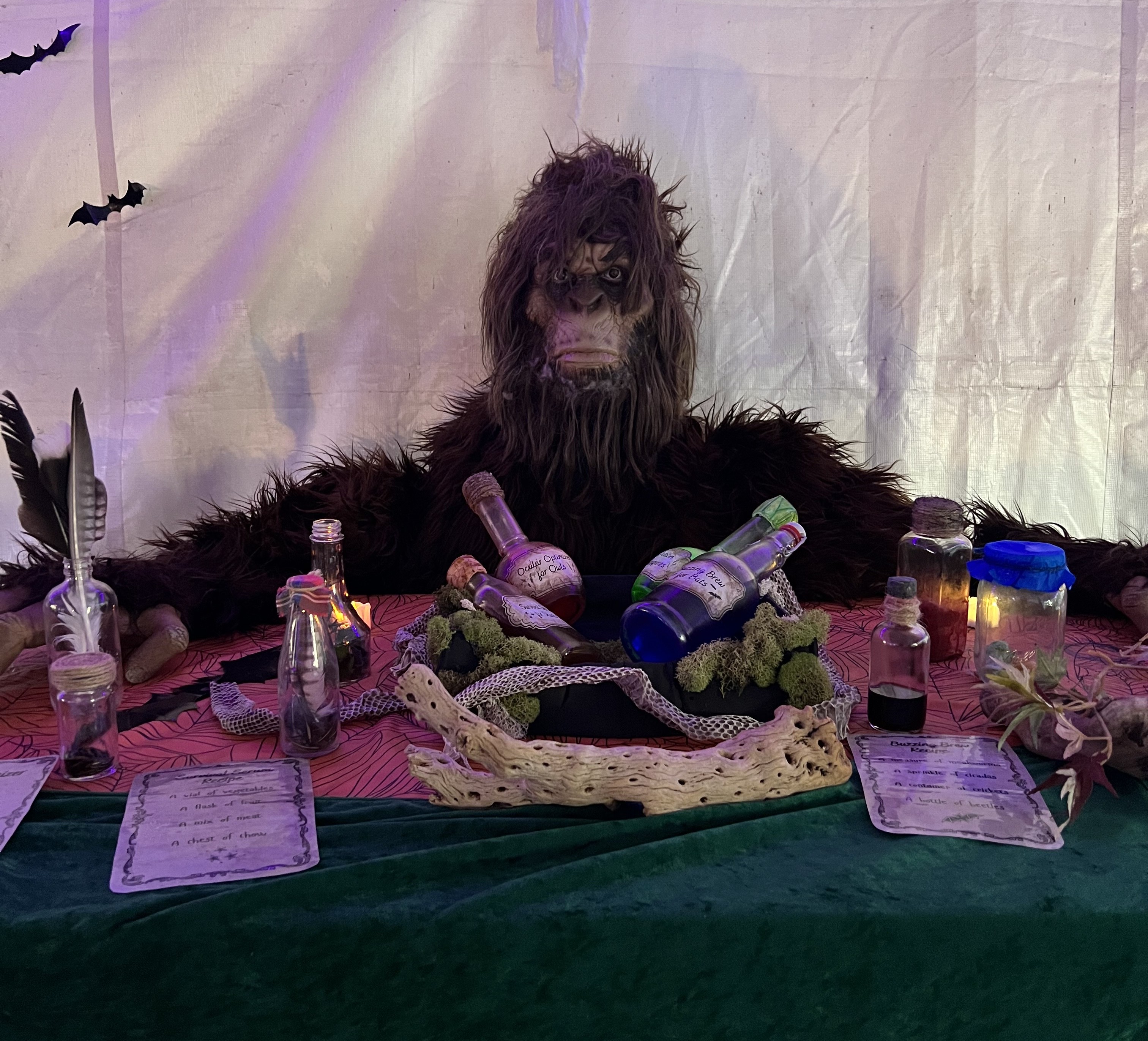Top 10 Things to Do at ZooAmerica Creatures Of The Night