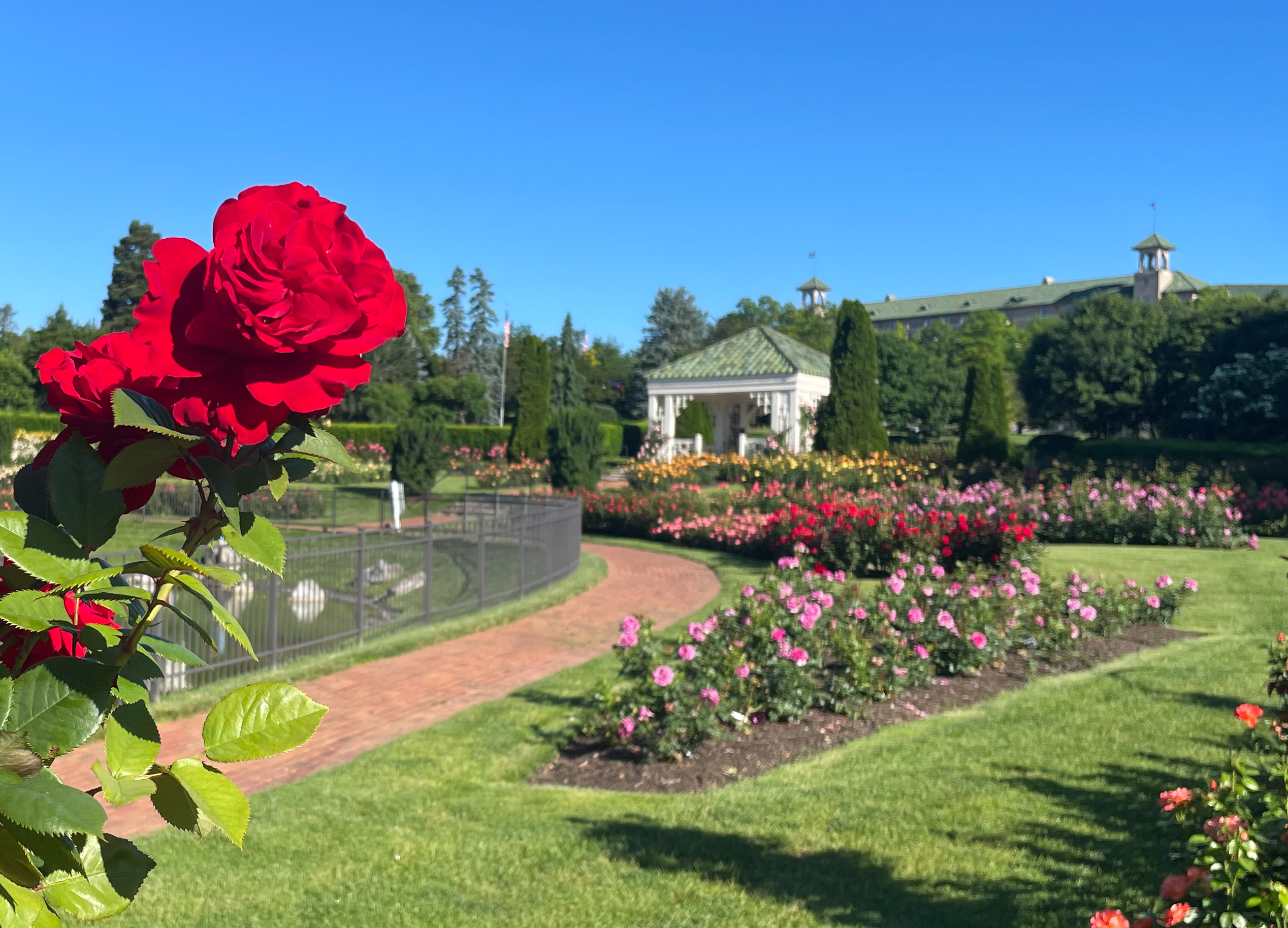 3,000 Roses in Bloom at Hershey Gardens