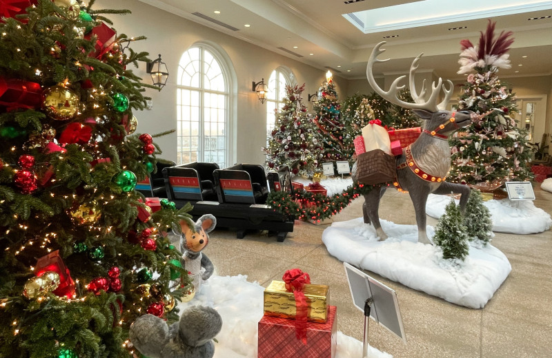 Celebrate National Christmas Tree Day 2024 in Hershey, PA