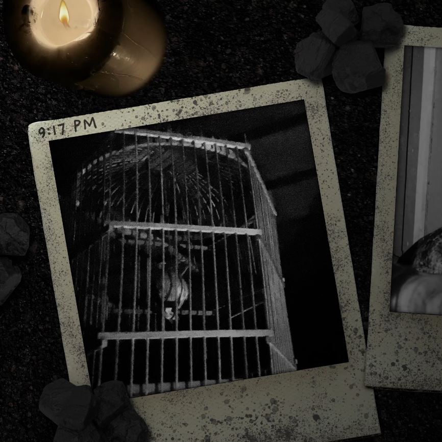 Dark Nights Behind the Haunt: Haunted Coal Mine