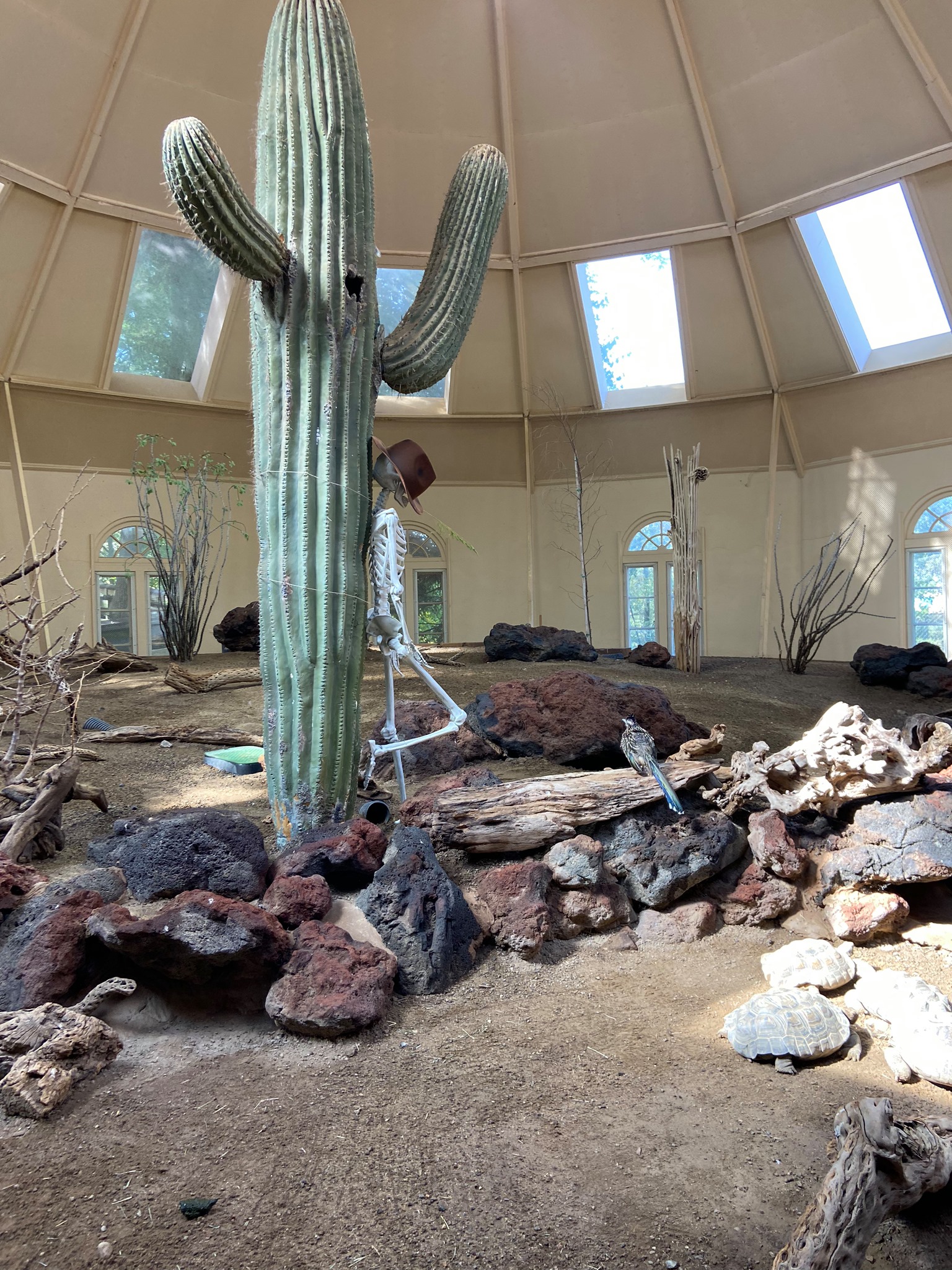 Guide to Creatures Of The Night at ZooAmerica 2022