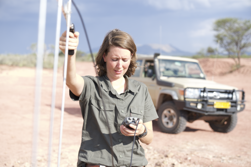 LEEUWEN, NEUSHOORNS EN OLIFANTEN IN NIEUWE ZAPPSERIE: ‘DIERENDOKTER IN HET WILD’