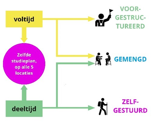 Nieuws over de Inholland pabo: Professionalisering tijdens teamdagen