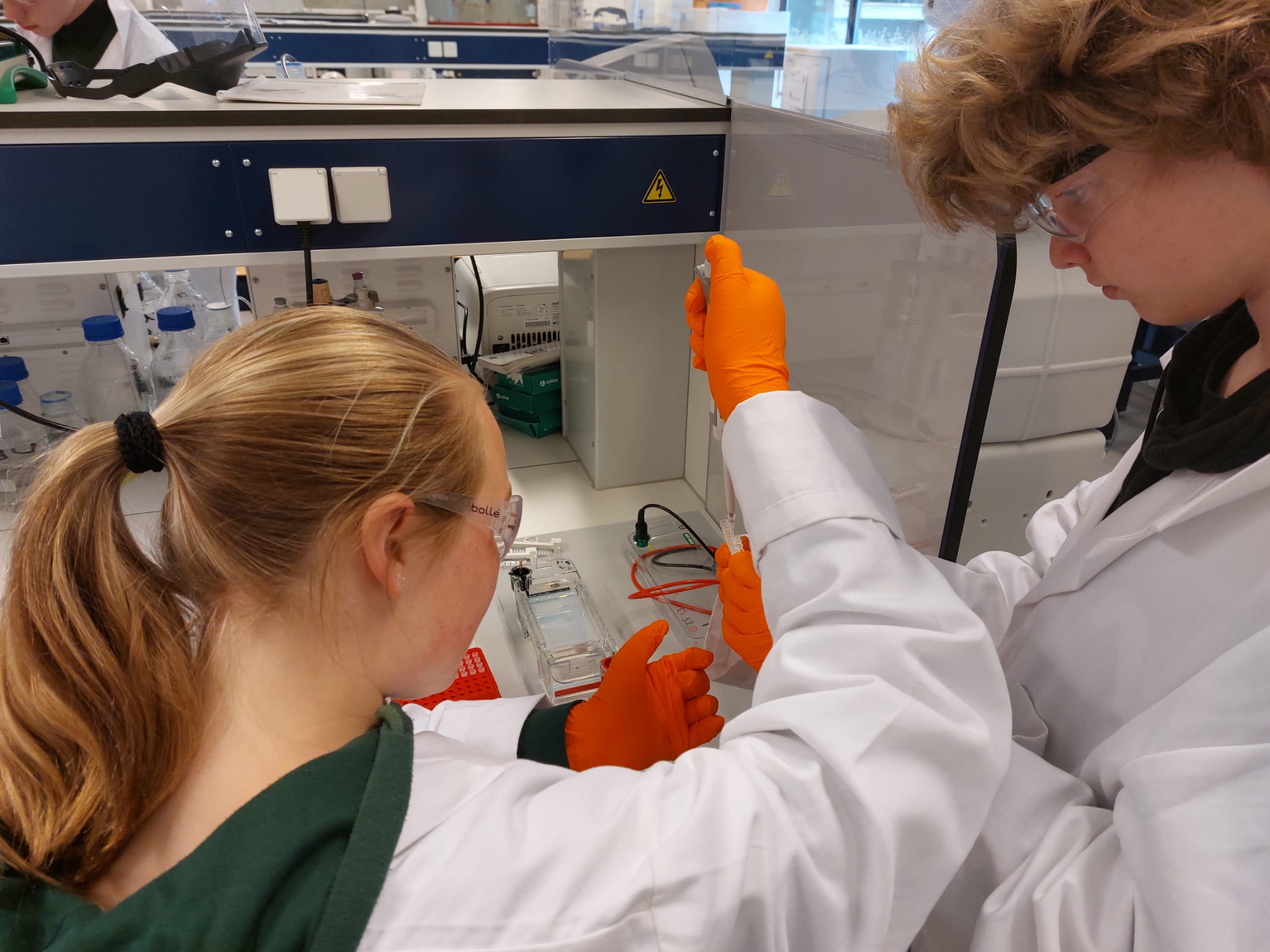 Biologie Olympiade bij Inholland Amsterdam