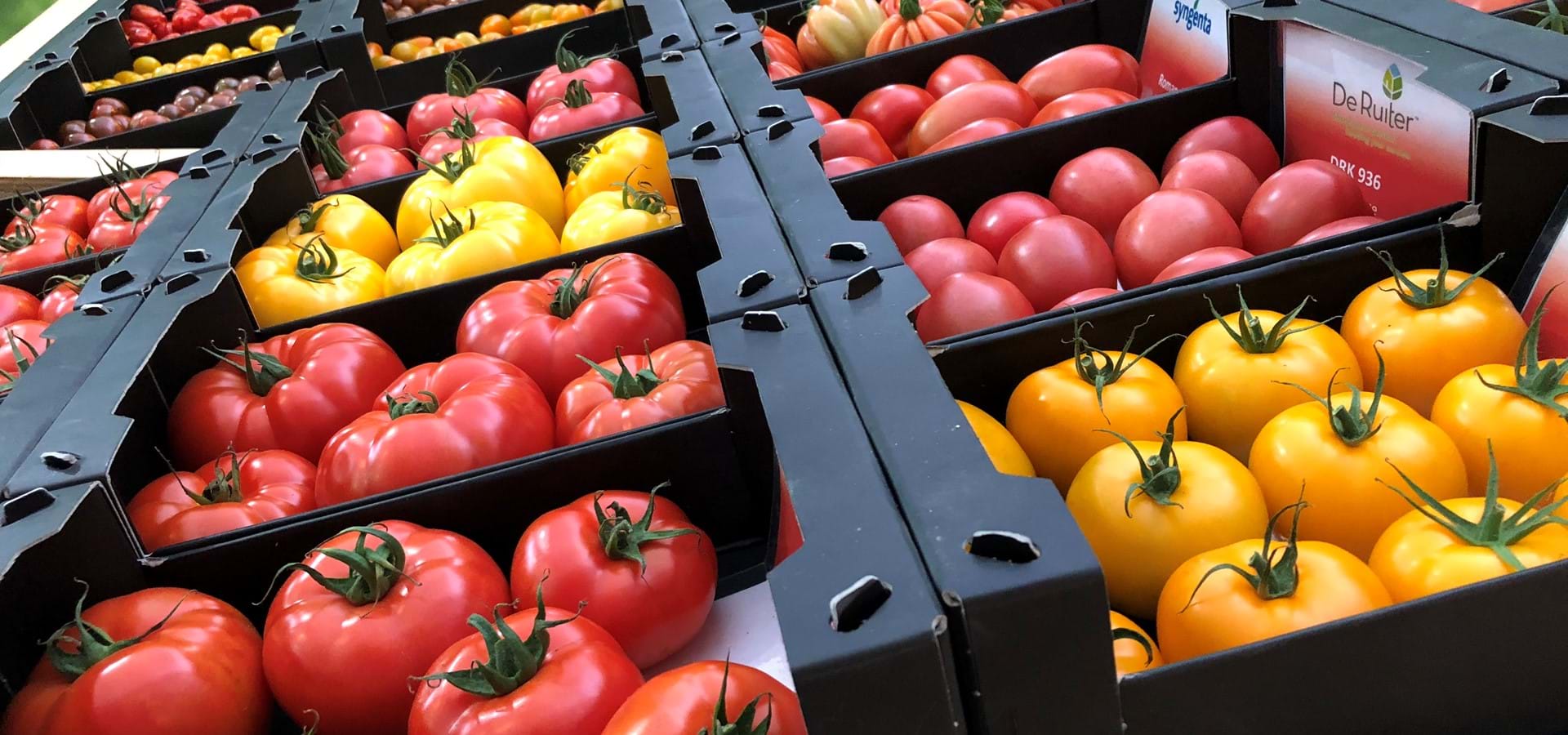 Voeding in de spotlight tijdens Dutch Food Week | Inholland