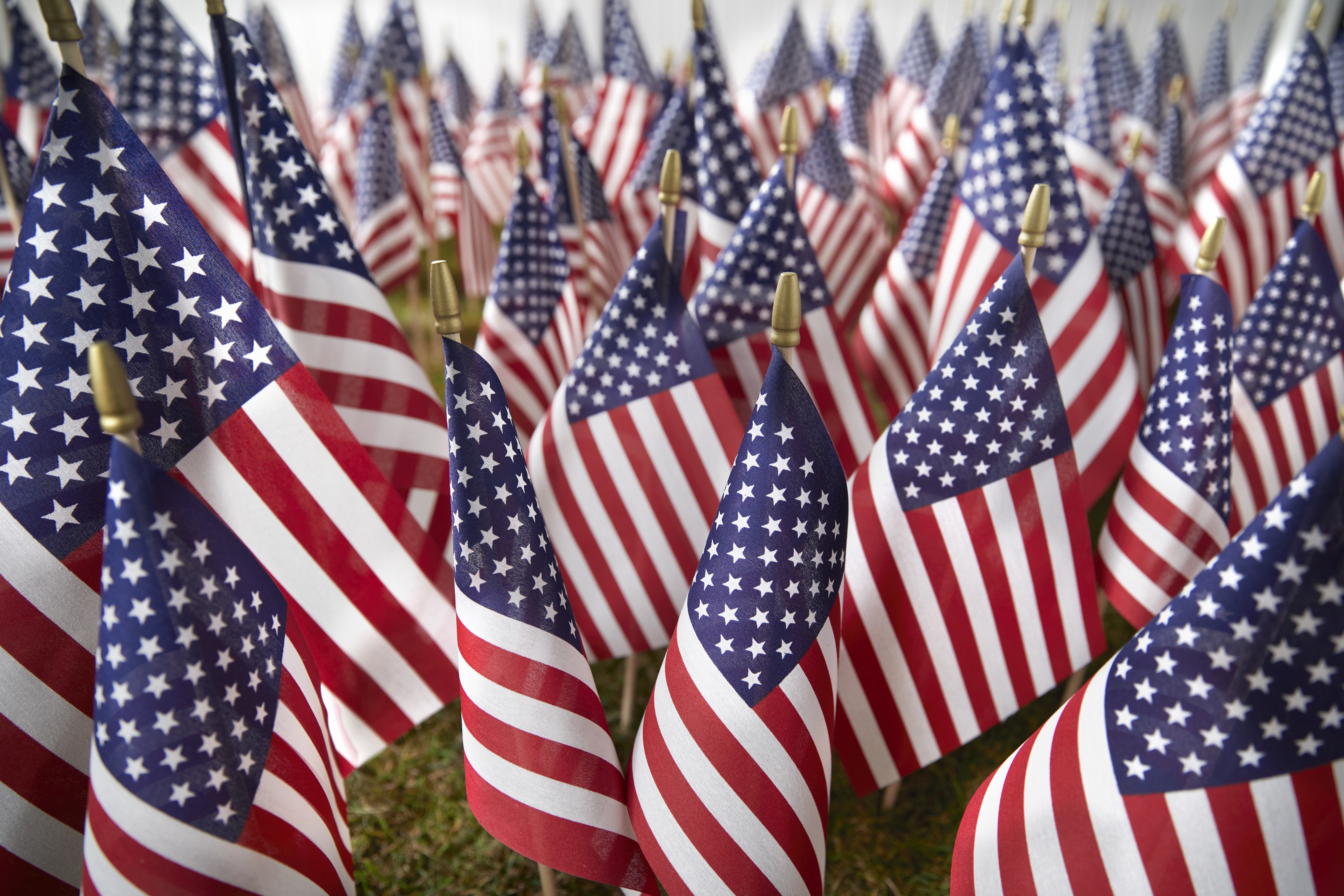 Ace Hardware Honors Fallen Heroes with 1 Million American Flags Donation