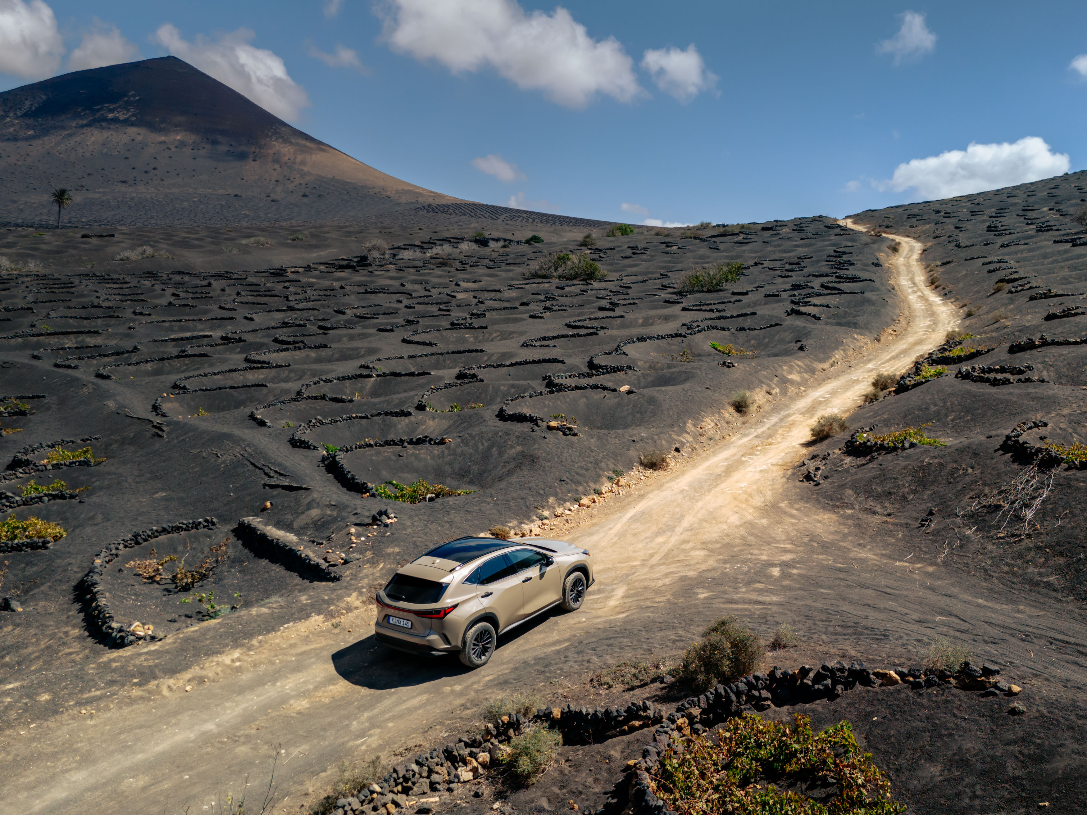 THE NEW NX OVERTRAIL: THE FEEL-GOOD LEXUS FOR MODERN LIFESTYLES