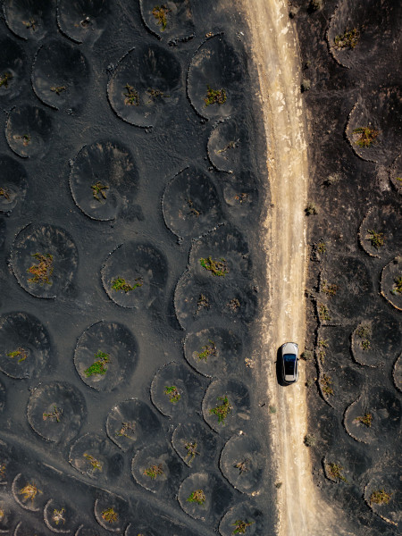 THE NEW NX OVERTRAIL: THE FEEL-GOOD LEXUS FOR MODERN LIFESTYLES