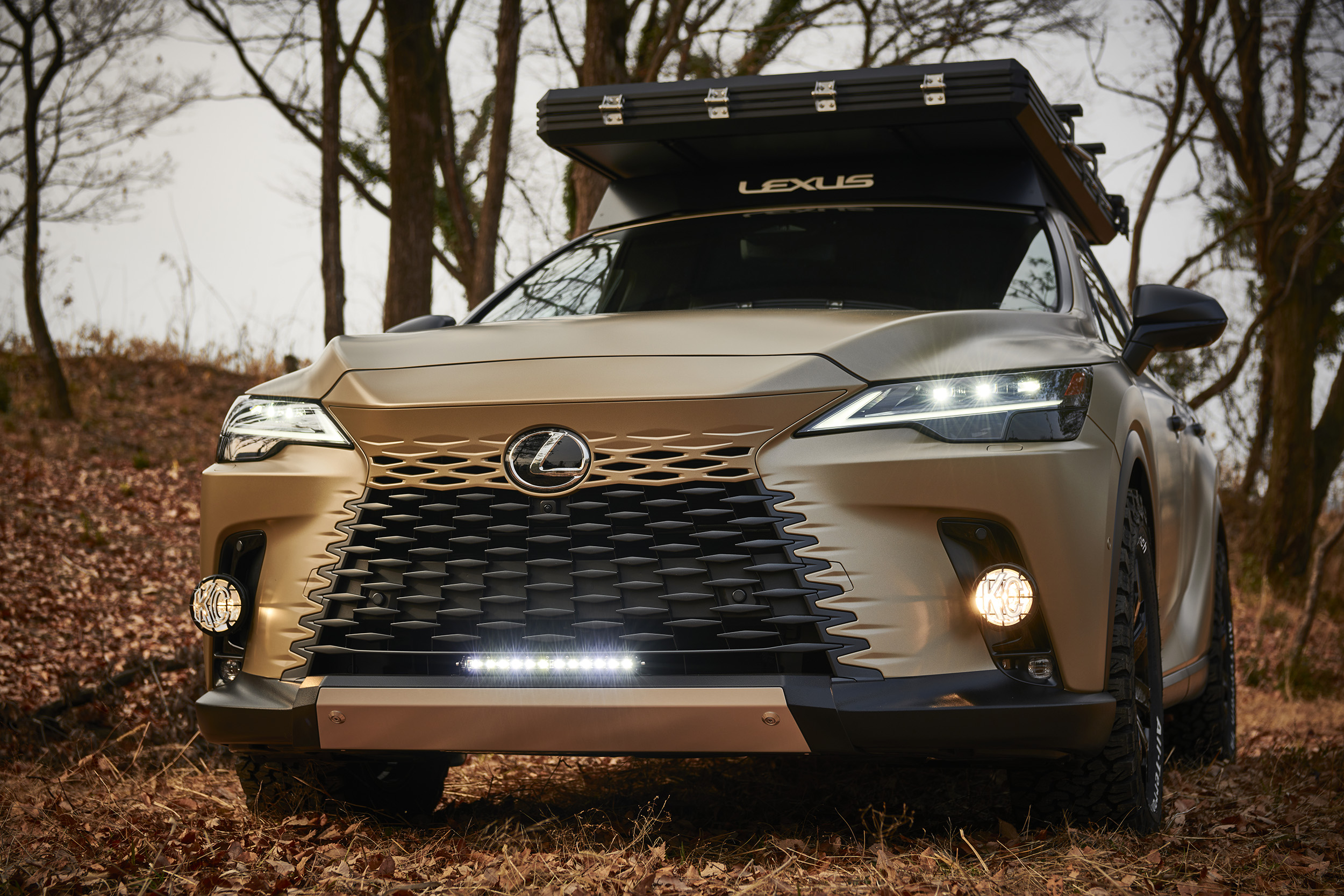 LEXUS MET EN LUMIÈRE LA PERSONNALISATION ET LES STYLES DE VIE OUTDOOR ...