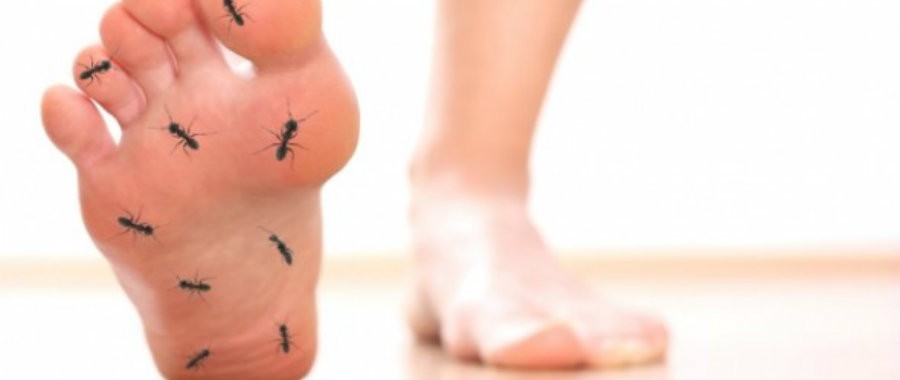 Diabetic Neuropathy: A Little TLC for a Growing Problem