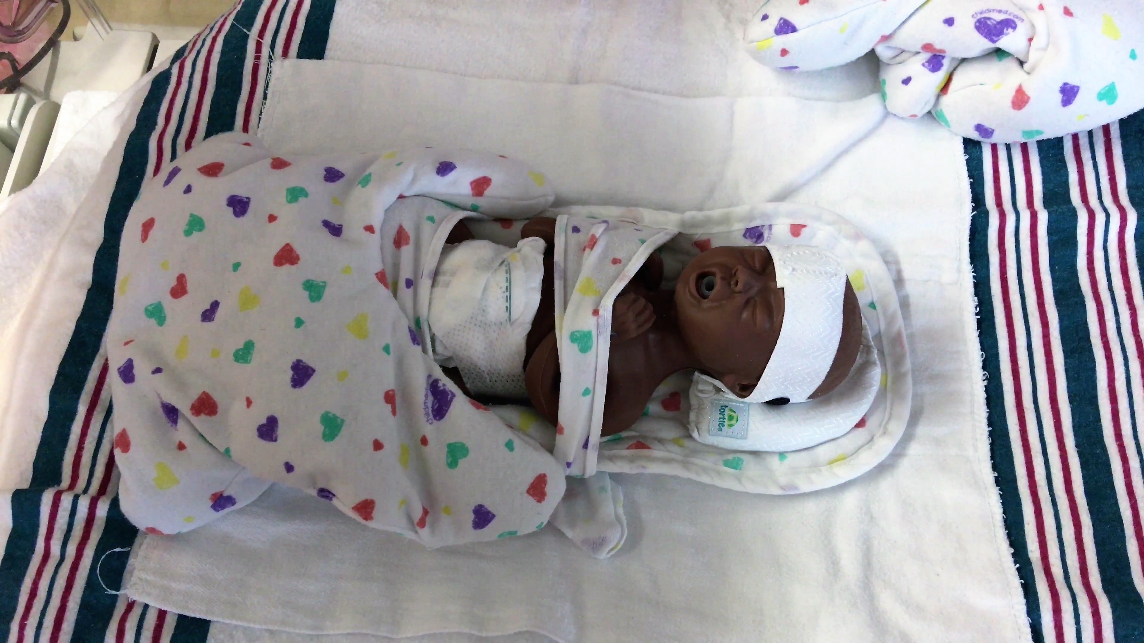 Helping the Smallest Babies Thrive