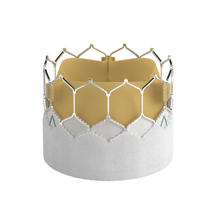 New Innovations are the Heartbeat of TAVR