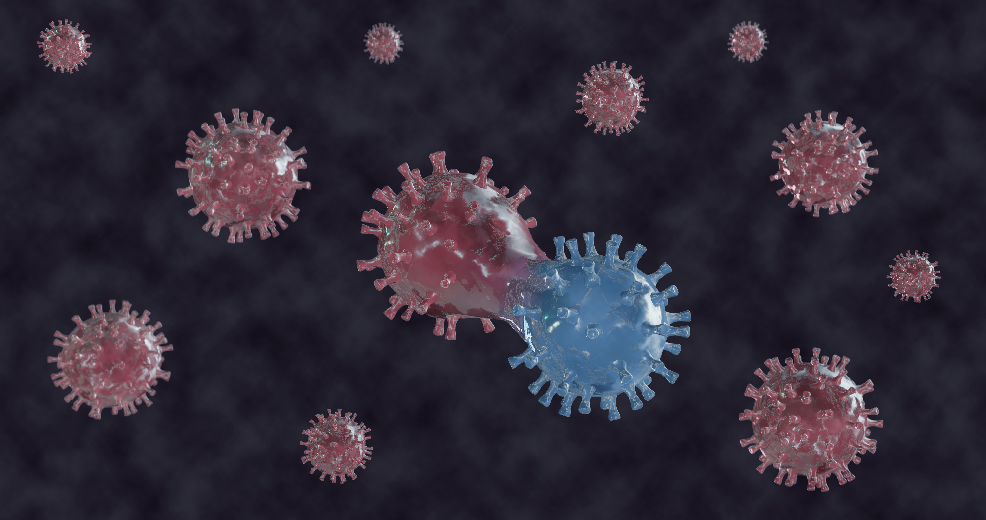 COVID-19 Variants and Vaccines