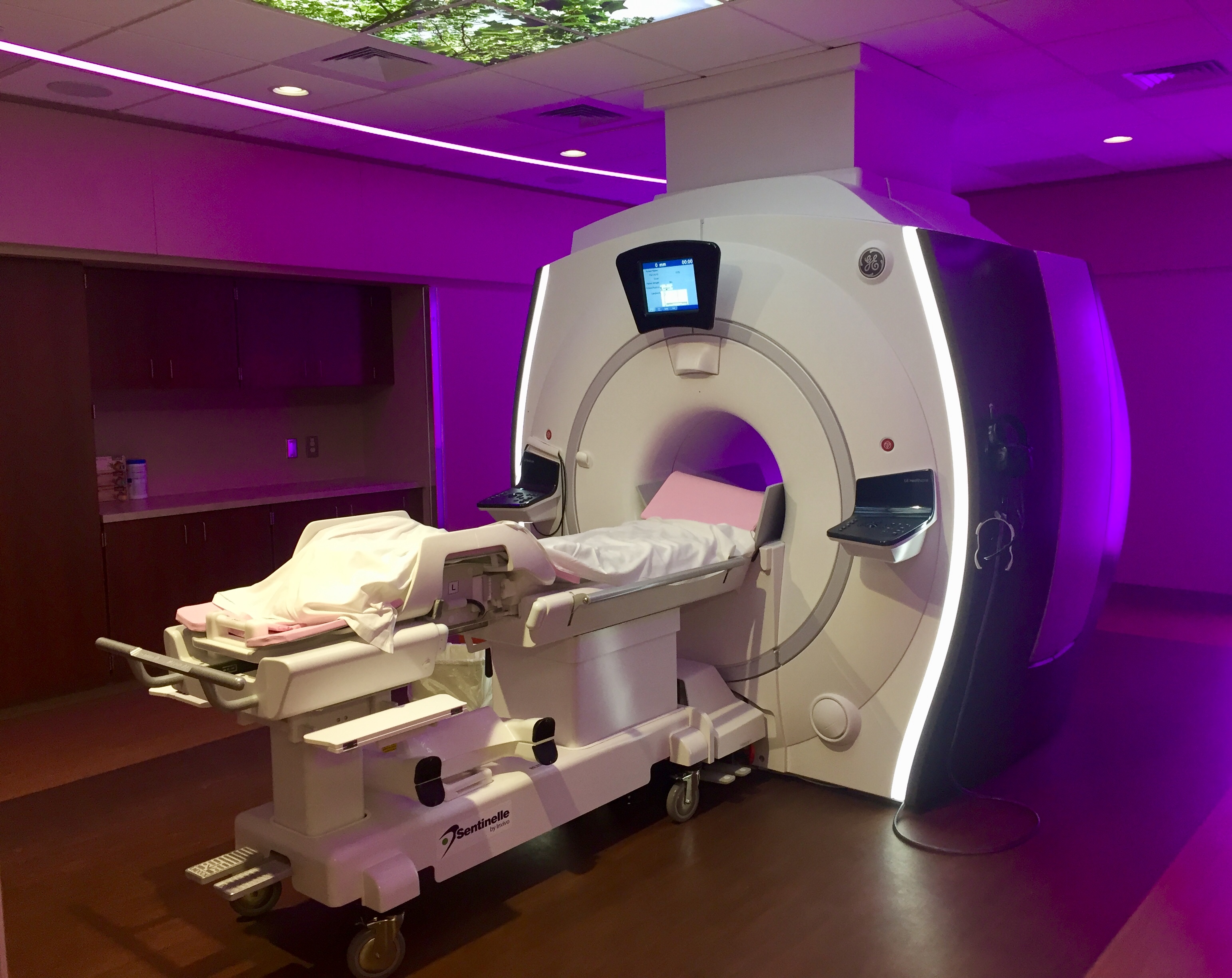 Open Wide and Say MRI