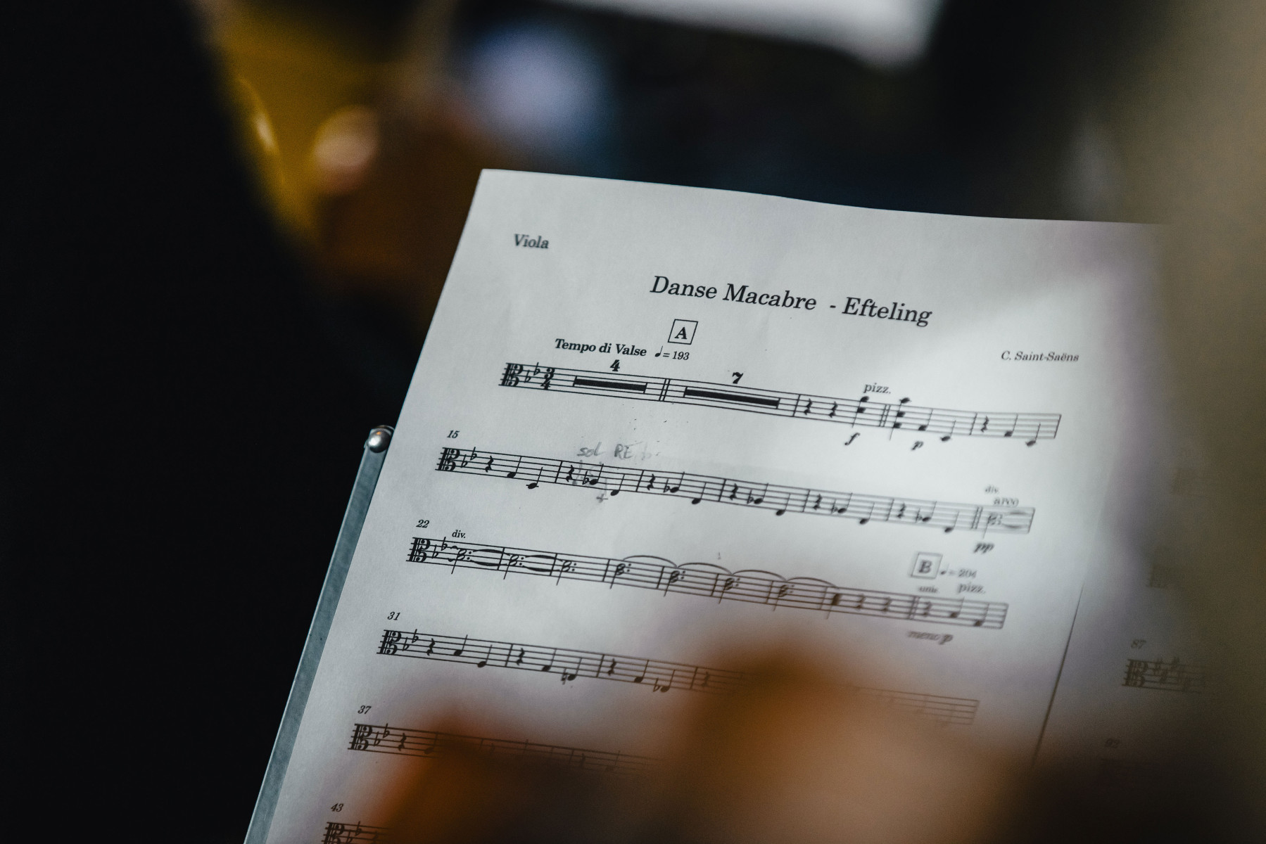 Media kit Danse Macabre - Efteling