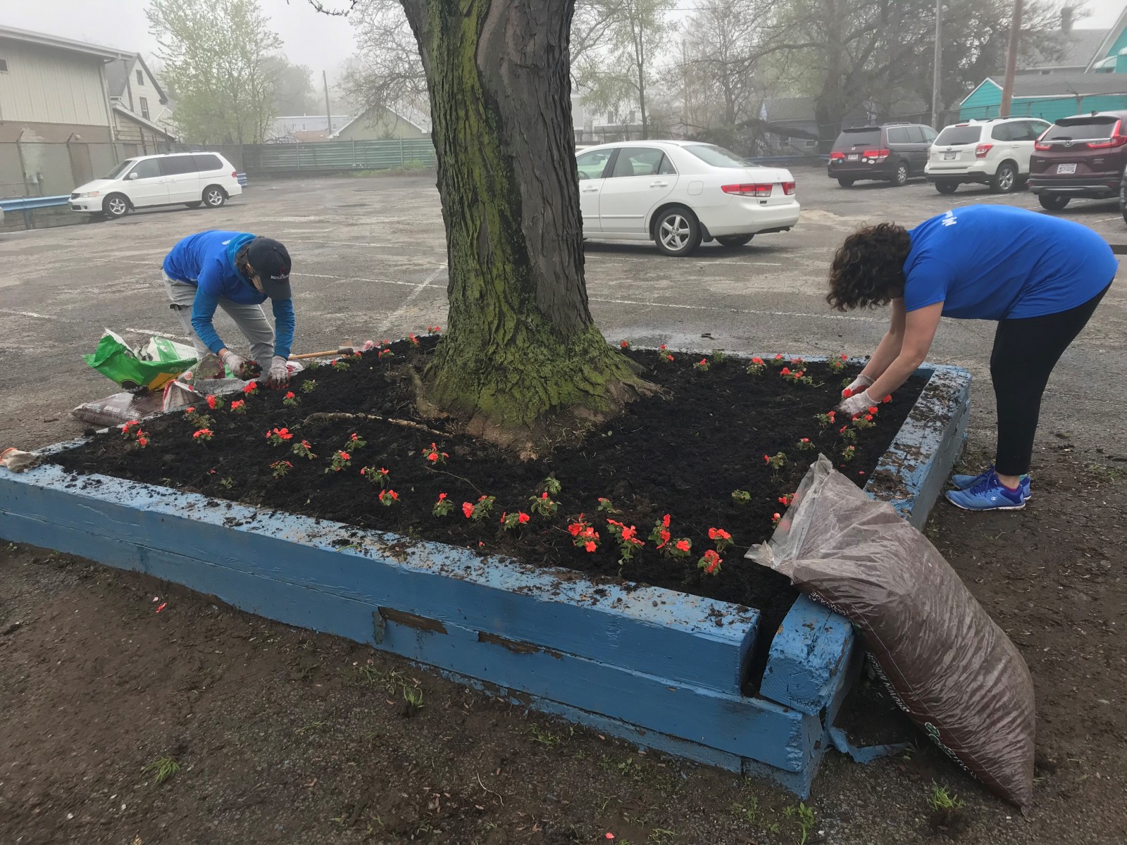 Sprucing up for spring in our neighborhood