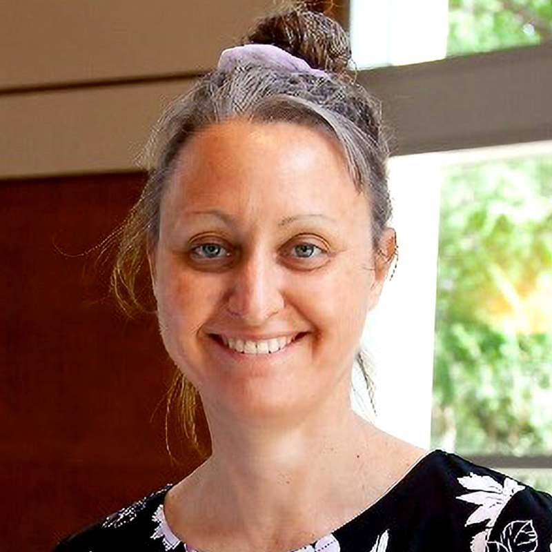 LPI Team Members Join the Solar System Exploration Research Virtual ...