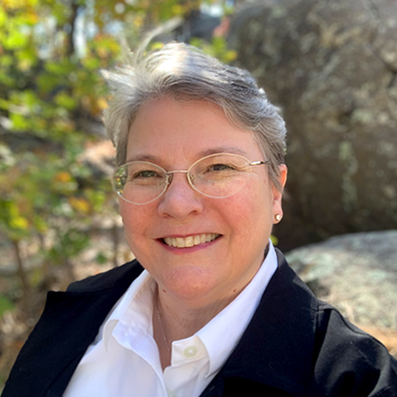 LPI Team Members Join the Solar System Exploration Research Virtual ...