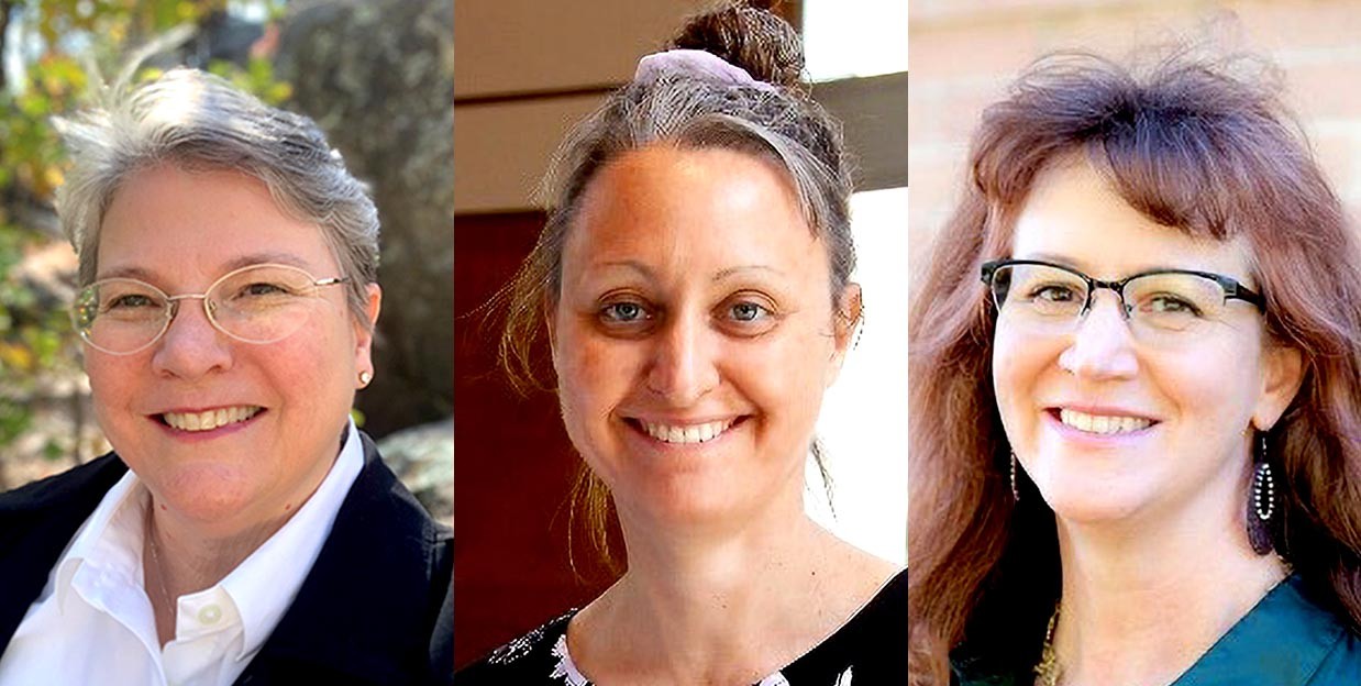 LPI Team Members Join the Solar System Exploration Research Virtual ...