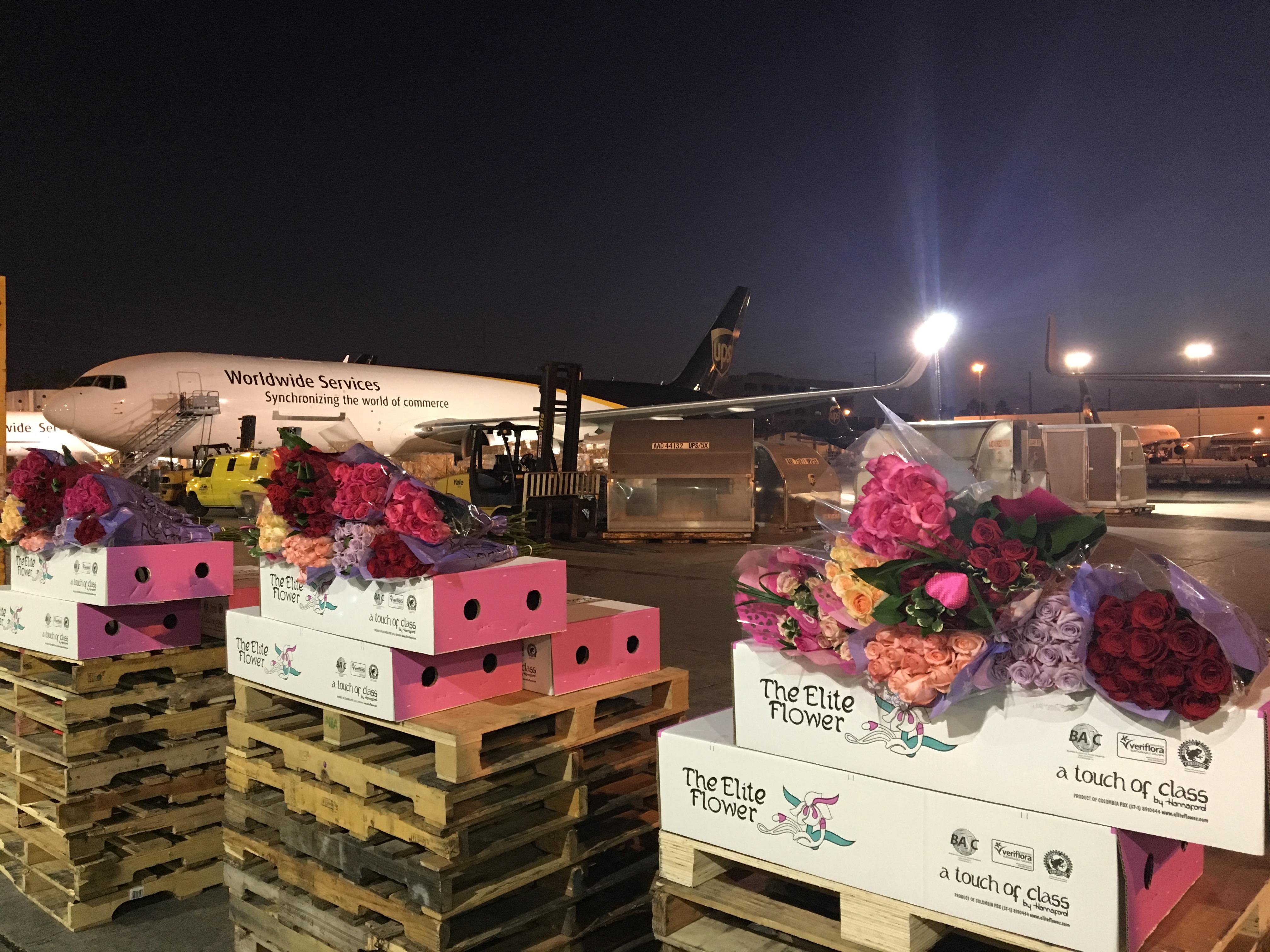 MIA plays Cupid as America’s busiest flower gateway