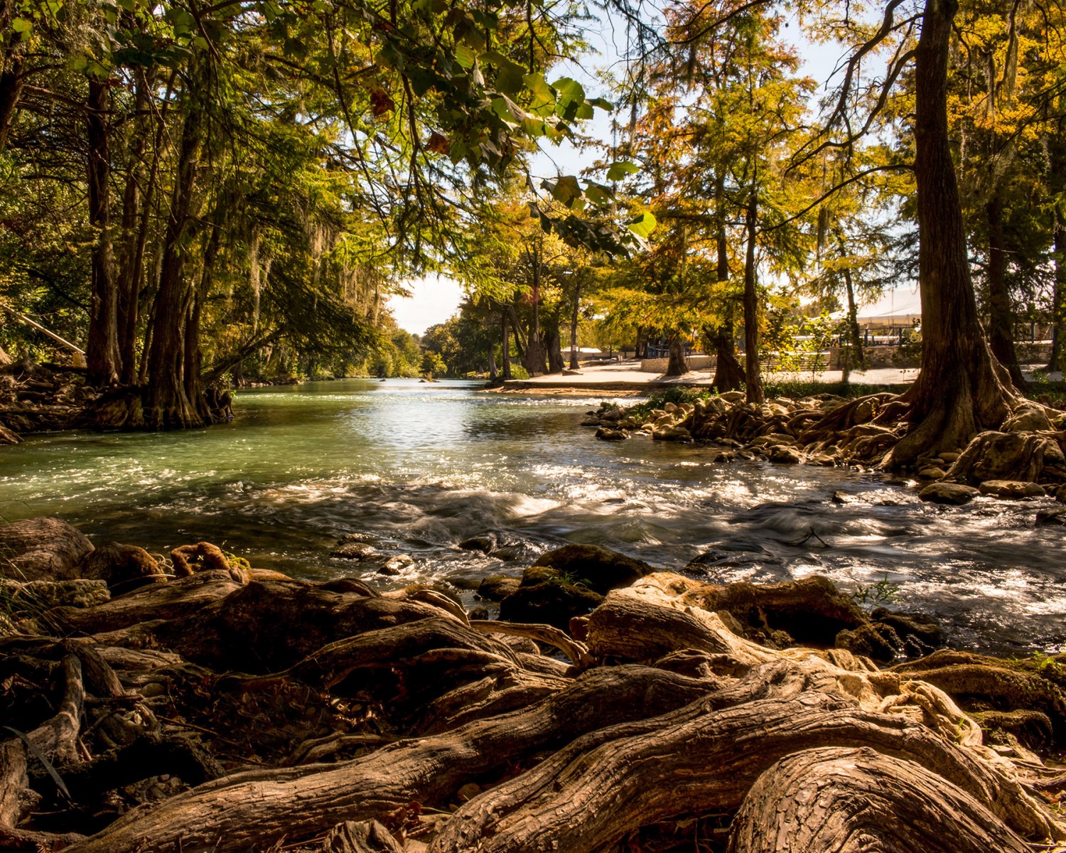 DMC Continuing Education Offering Photography Course for Beginners