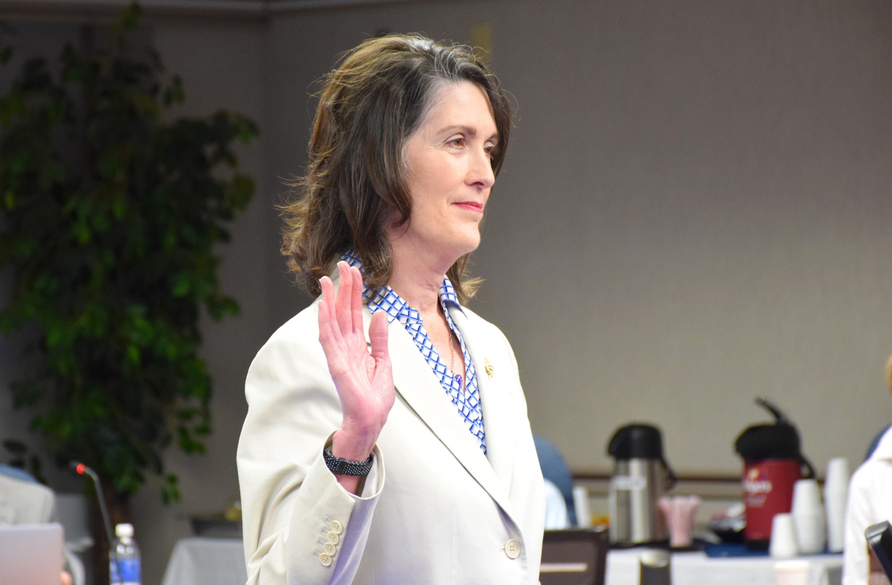 Board of Regents appoint Mary Sherwood, PhD, to fill District 4 seat