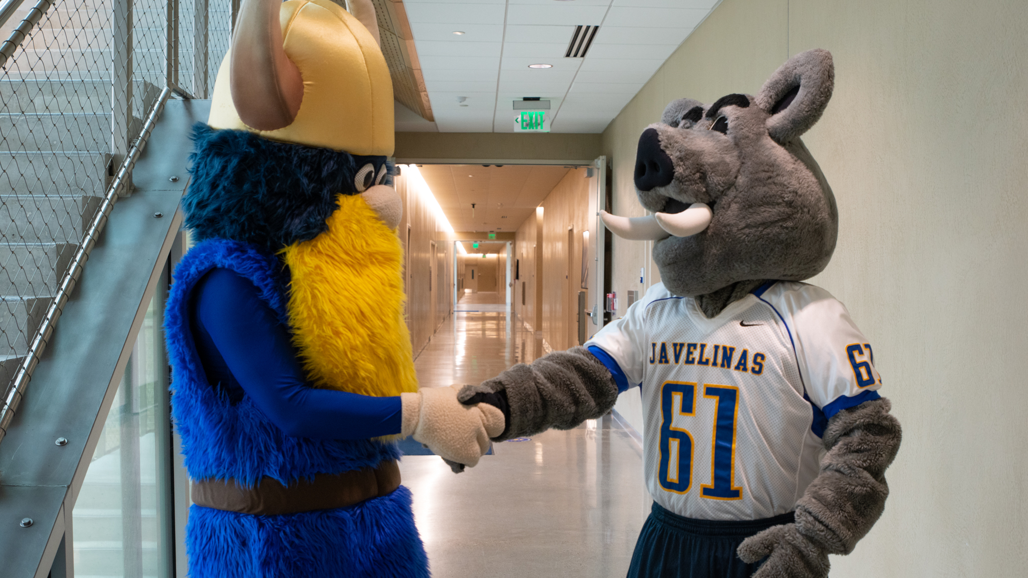 The deal is sealed … DMC, TAMUK expand educational opportunities for ...