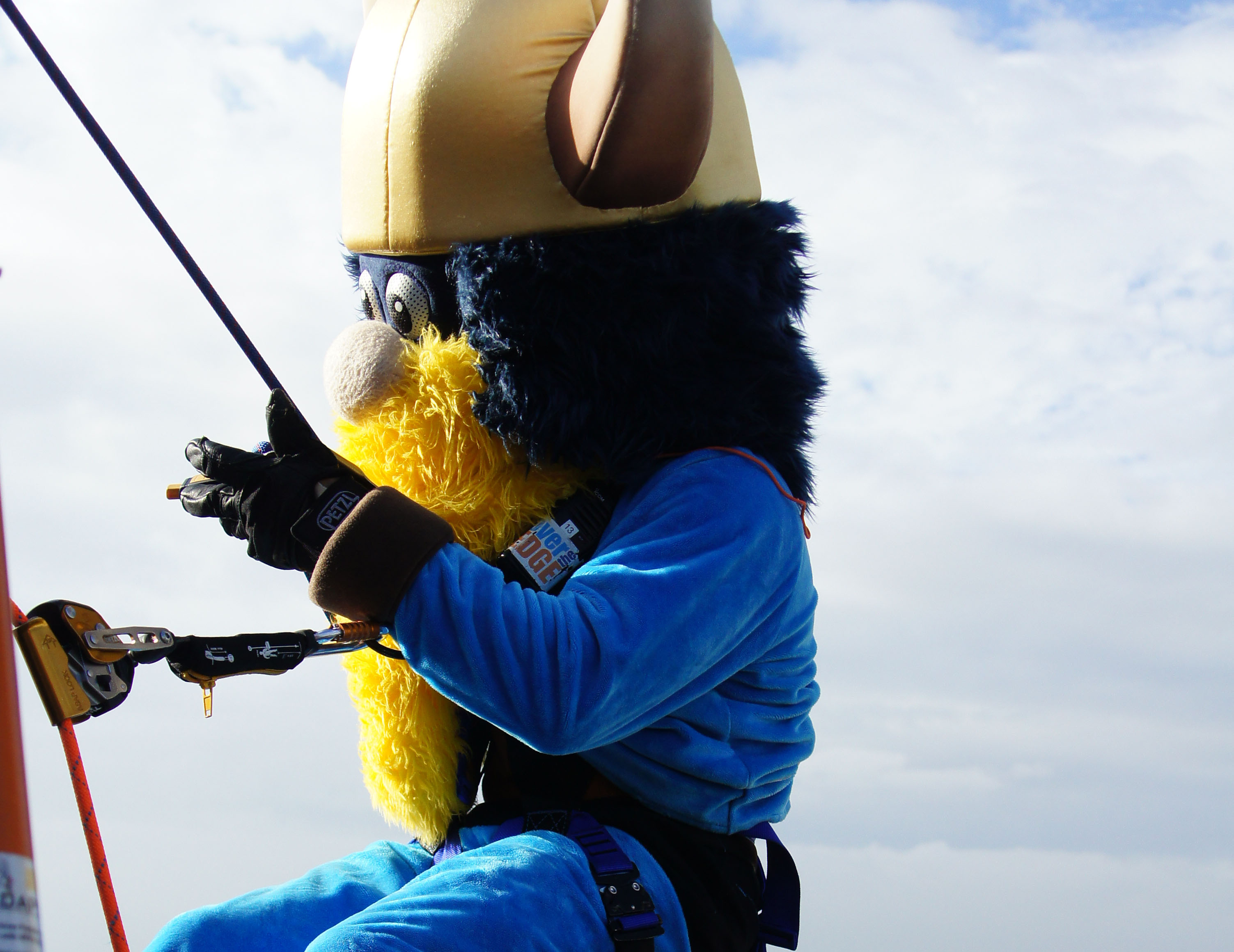 It’s Not Too Late …Sign Up for Foundation’s “Over The Edge” Rappelling ...
