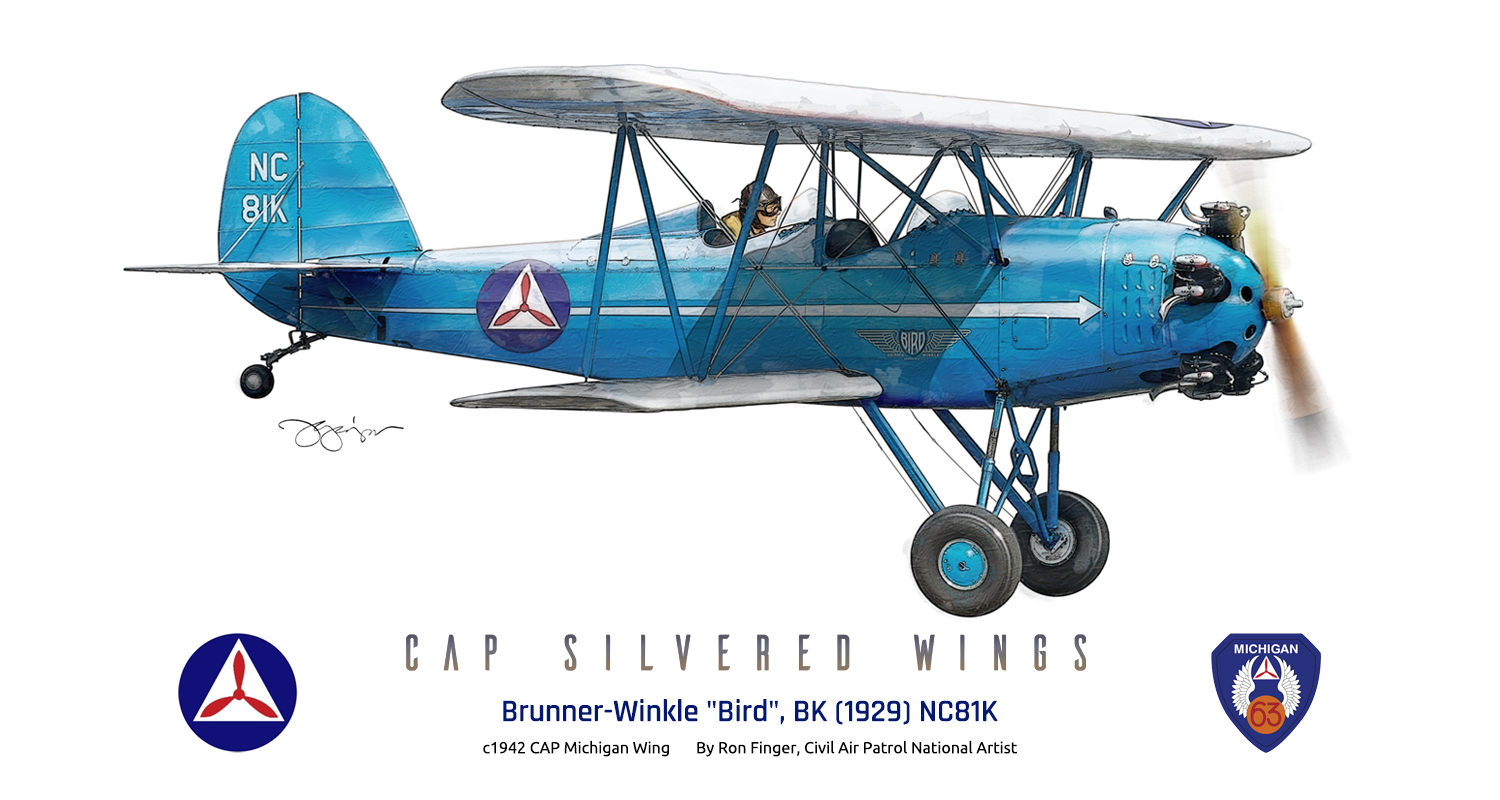 Silvered Wings: Brunner-Winkle 'Bird,' BK (1929)