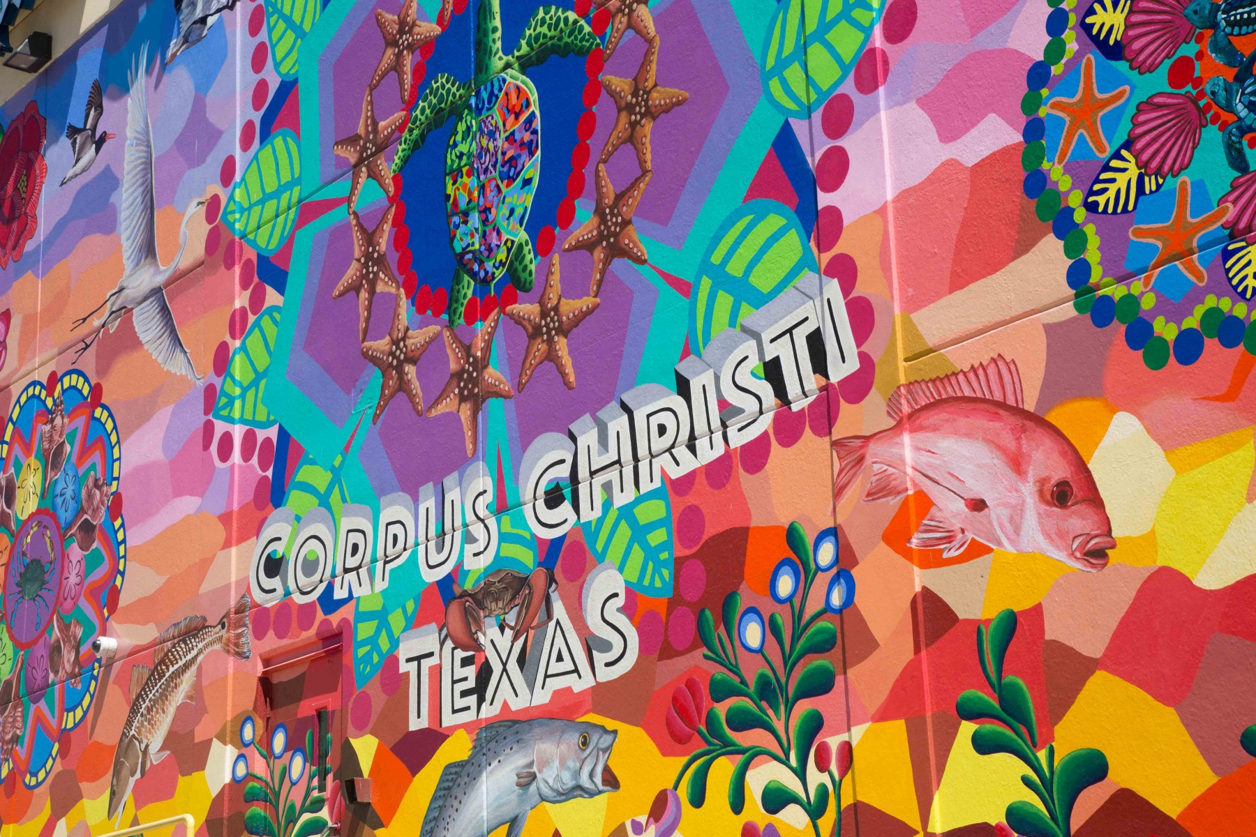 Hitting the Texas coast this spring break?