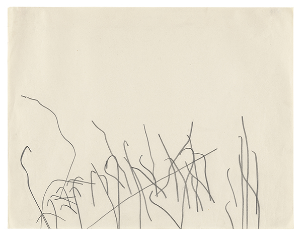 Museum Receives Major Gift of Eighteen Drawings, an Early Painting, and ...