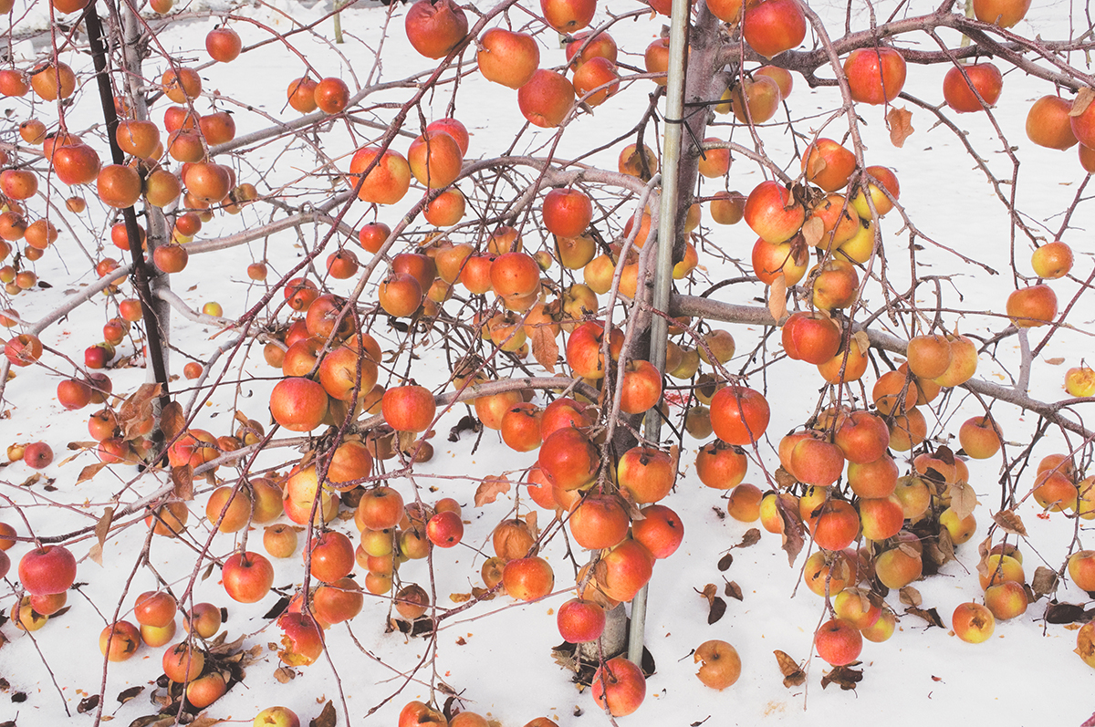 Richard Benson: The World Is Smarter Than You Are