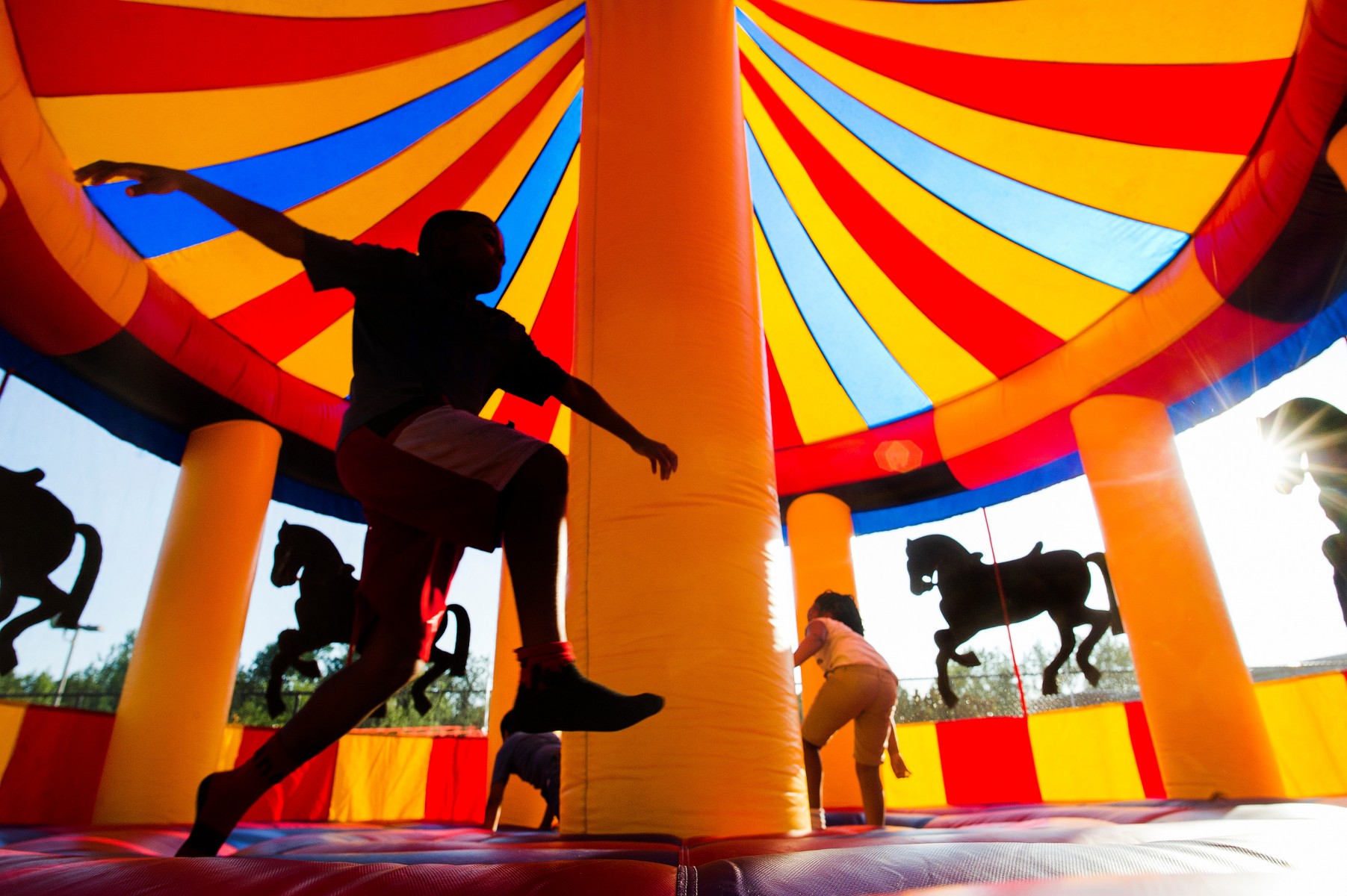 Program: Annual Meeting Activities