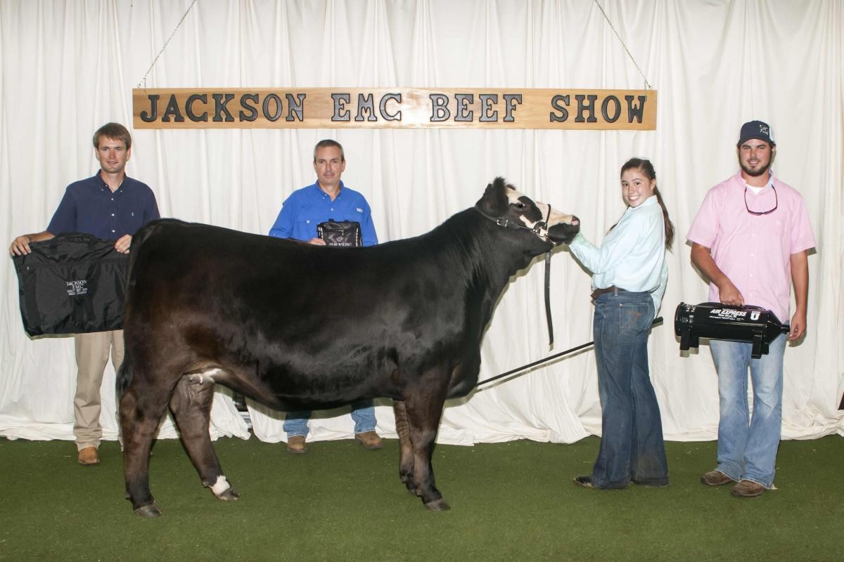 Quality Beef Show