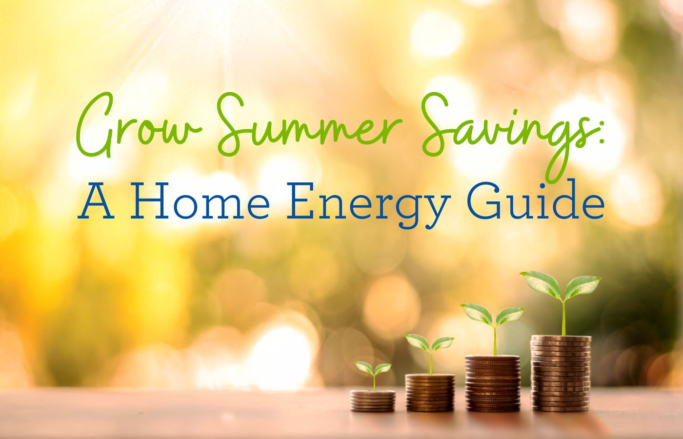 Grow Summer Savings: A Home Energy Guide