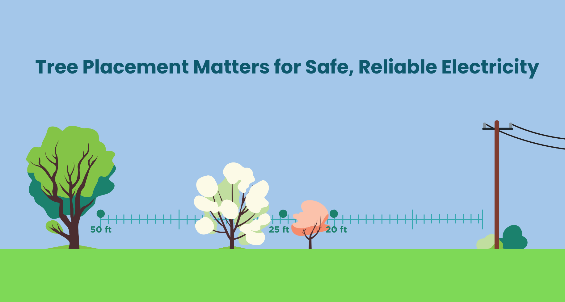 Tree Placement Matters for Safe, Reliable Electricity