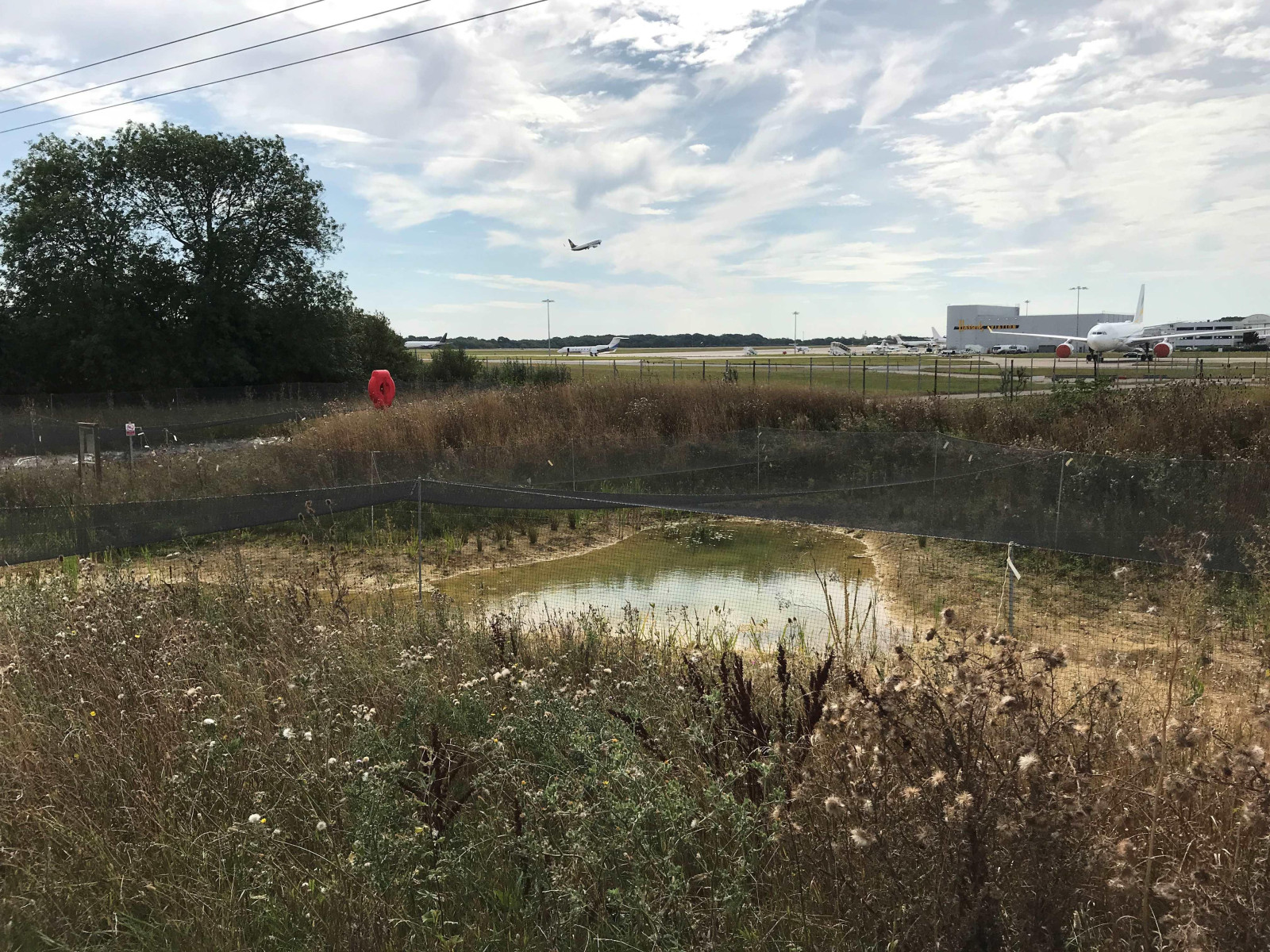 Habitat area 2019