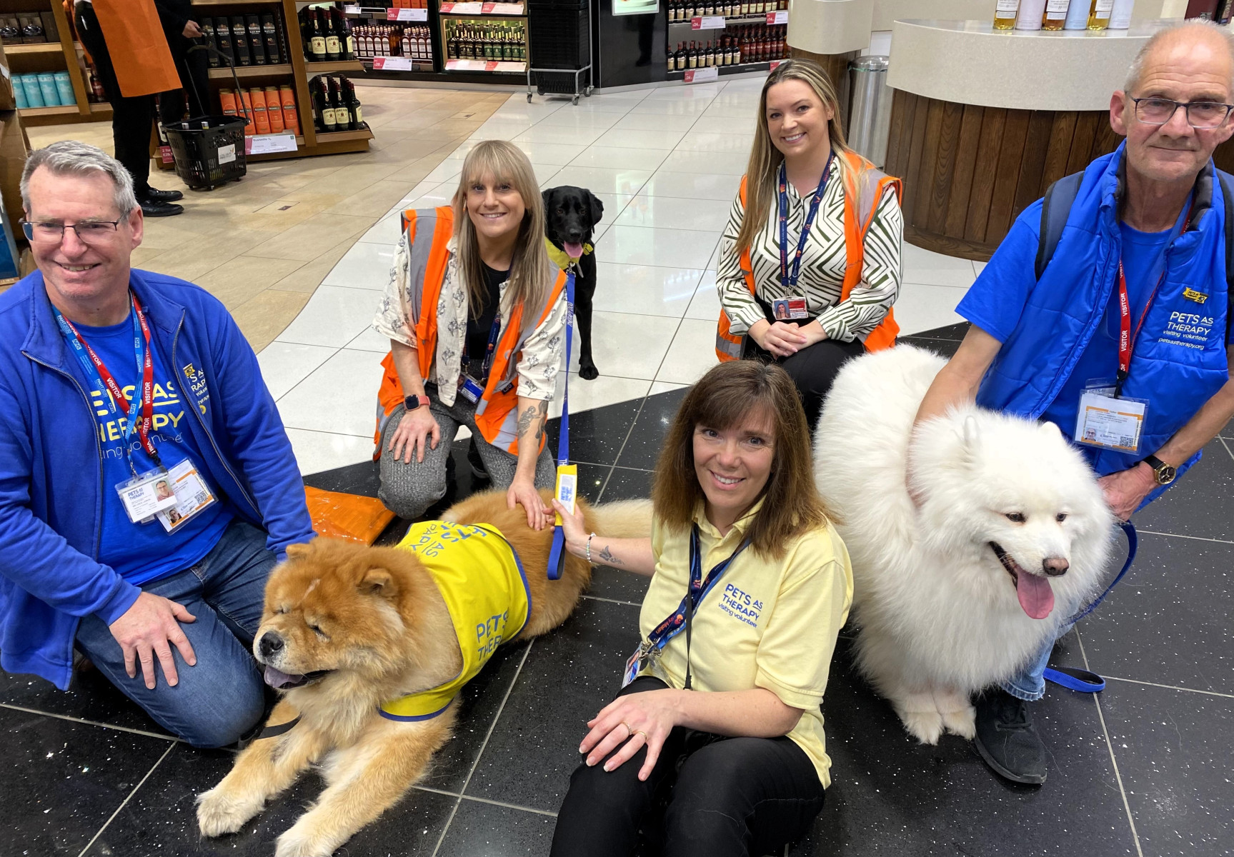 Therapy dogs paws-itively delight passengers