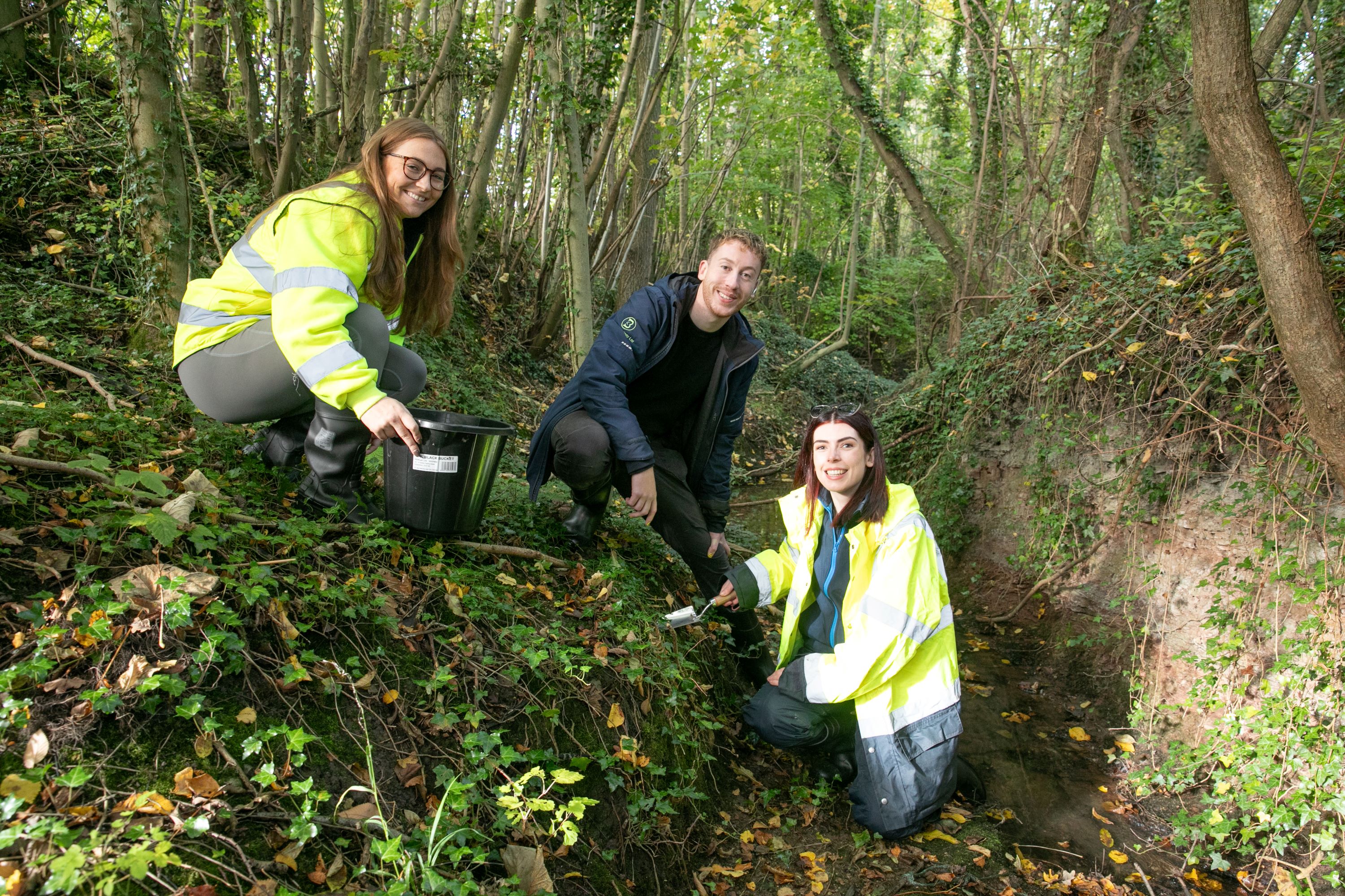 Important plants thriving in unique conditions around Manchester ...