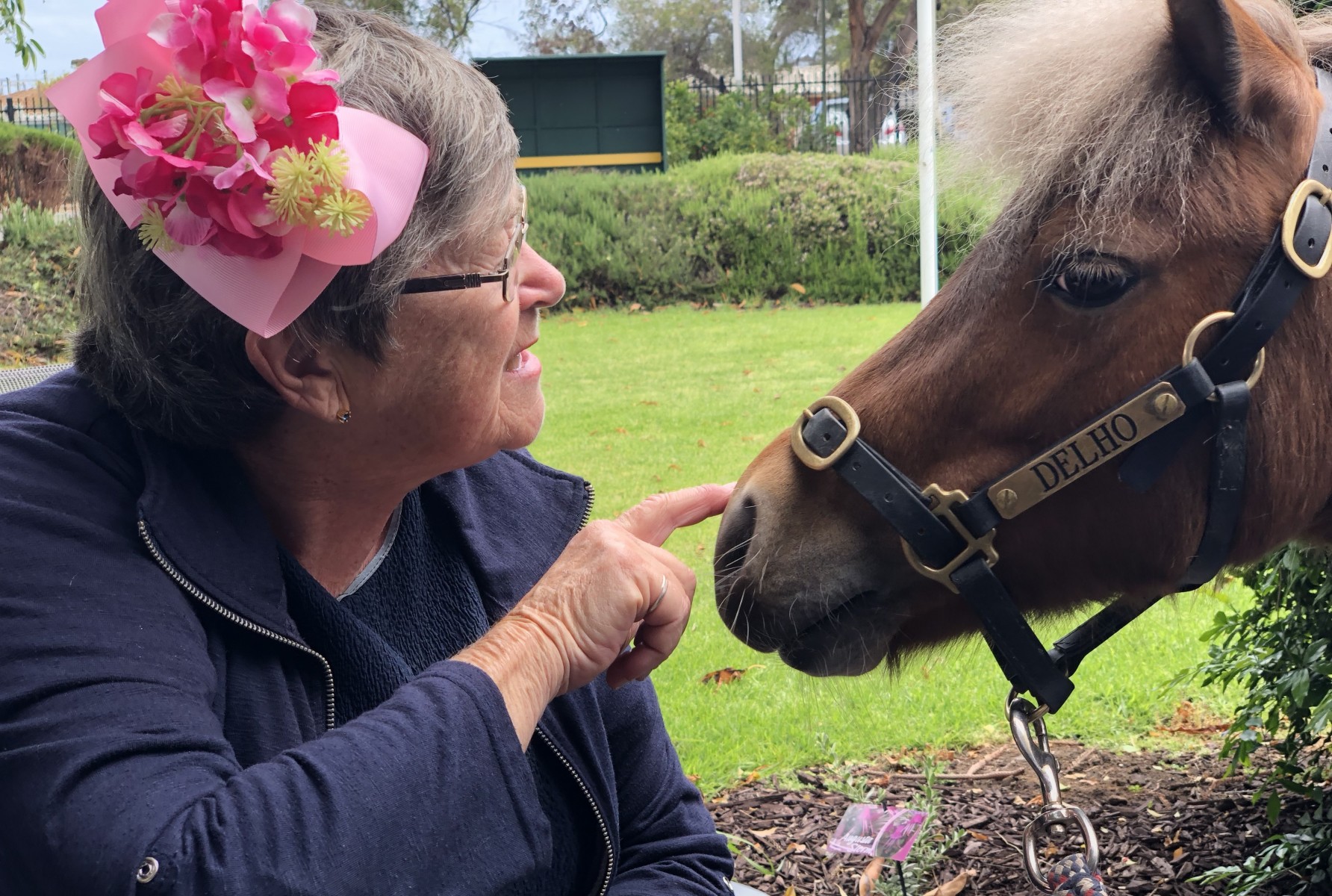 Bupa Morphettville's ‘neigh’bourly pony visit | Bupa