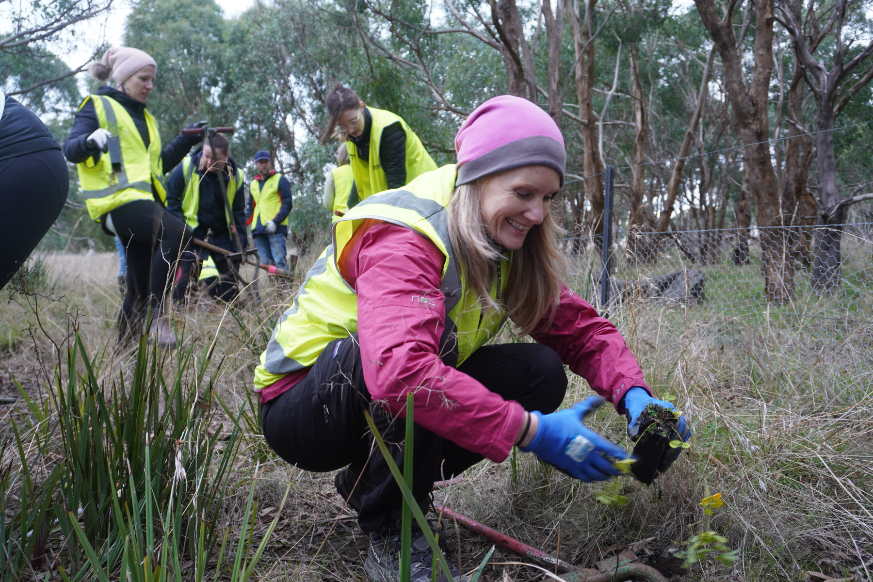 A block of nature to help support healthy humans and a healthy planet